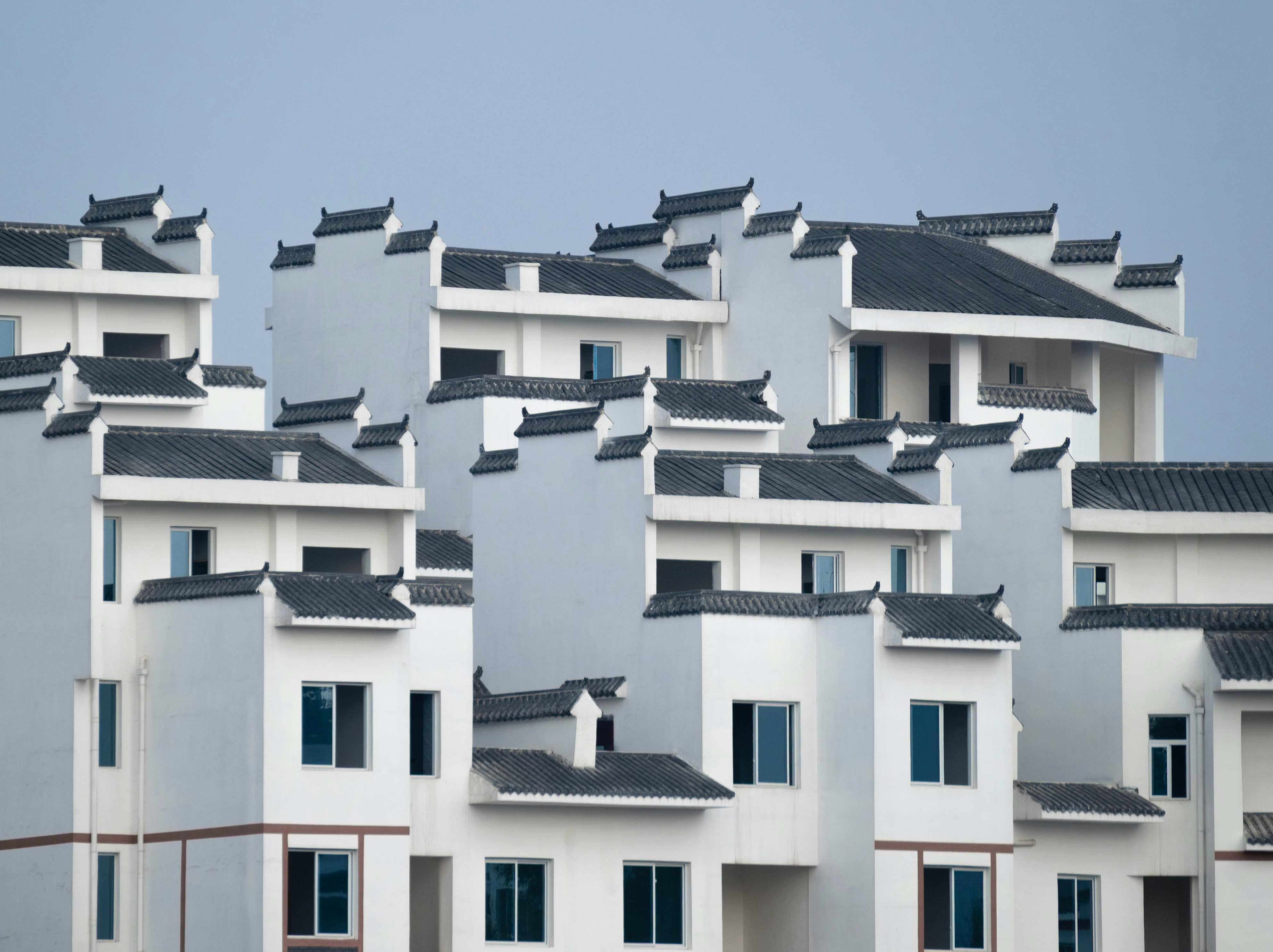 Photo by Siru Zhou with Nikon Z5