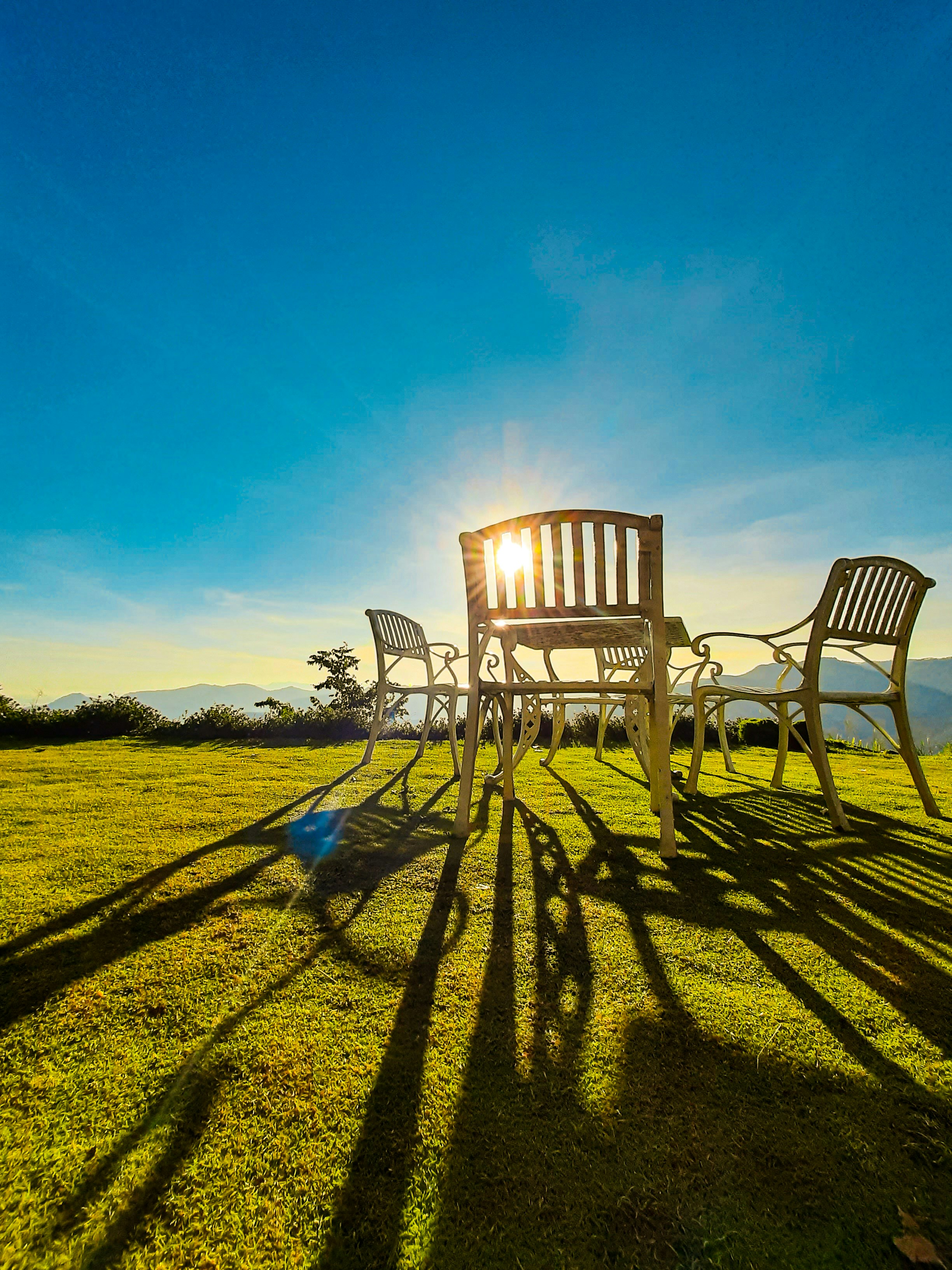 Photo by Dilani Wickramanayake with Samsung Galaxy M31