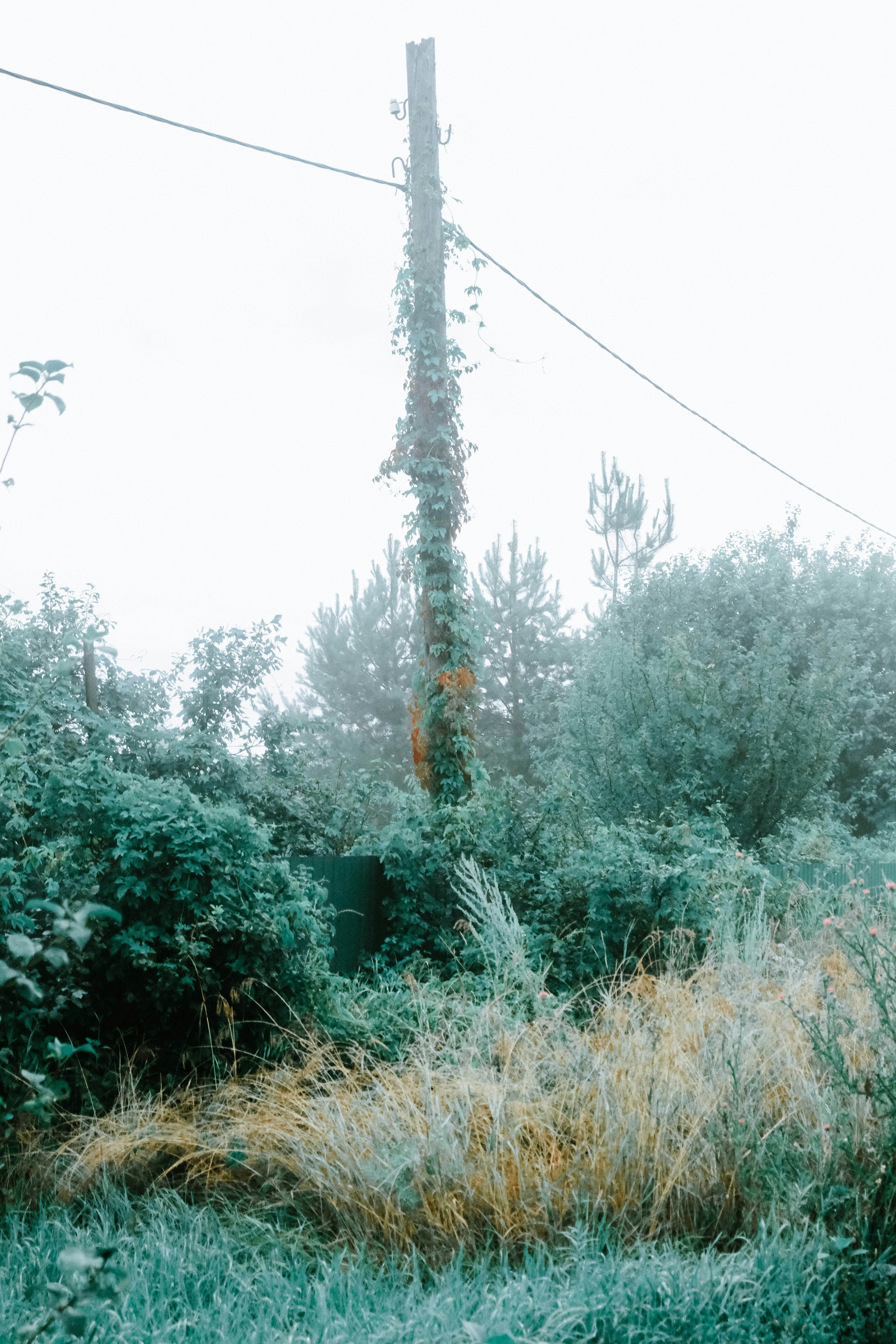 Chill Wallpapers: Free HD Download [500+ HQ]