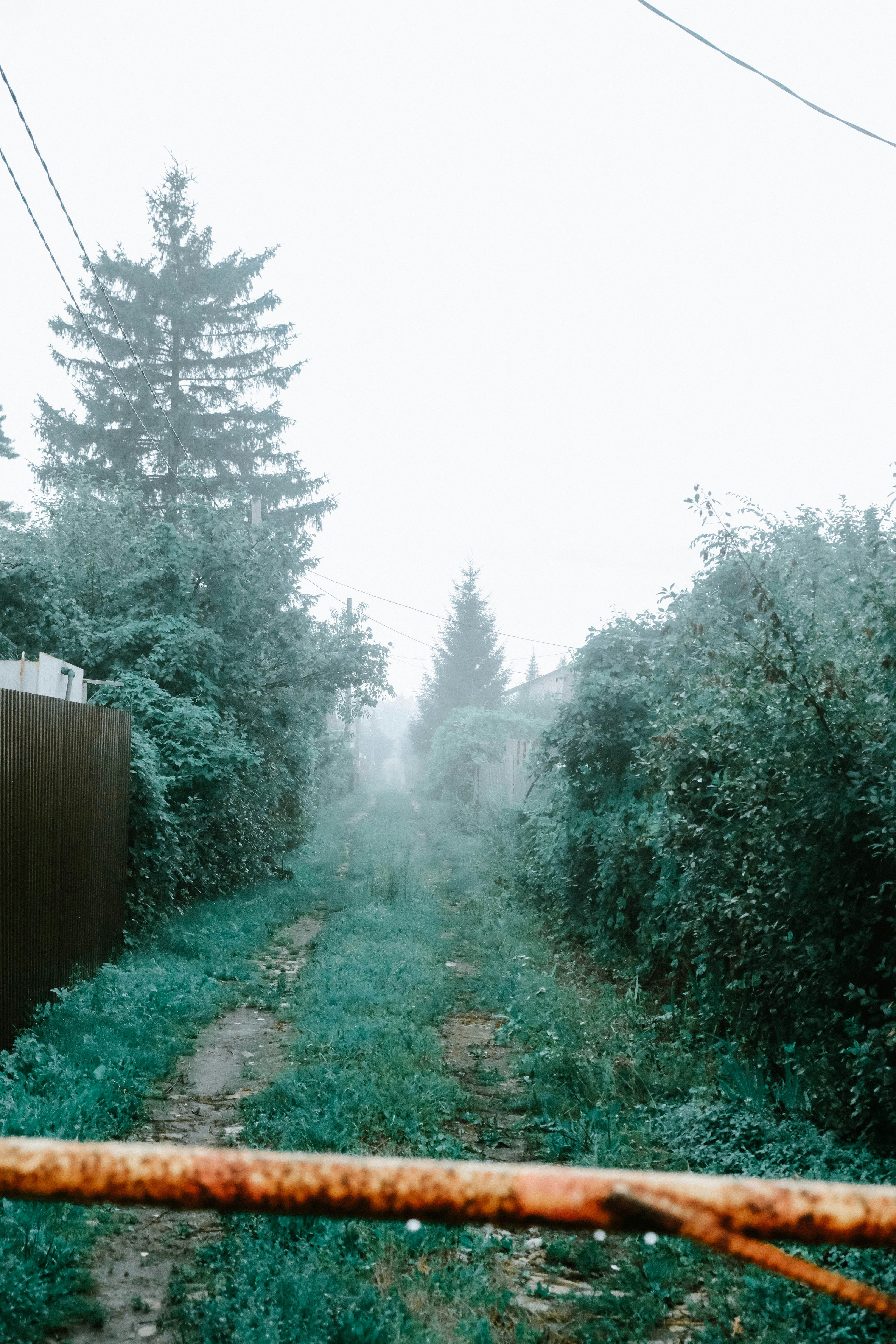 Chill Wallpapers: Free HD Download [500+ HQ]