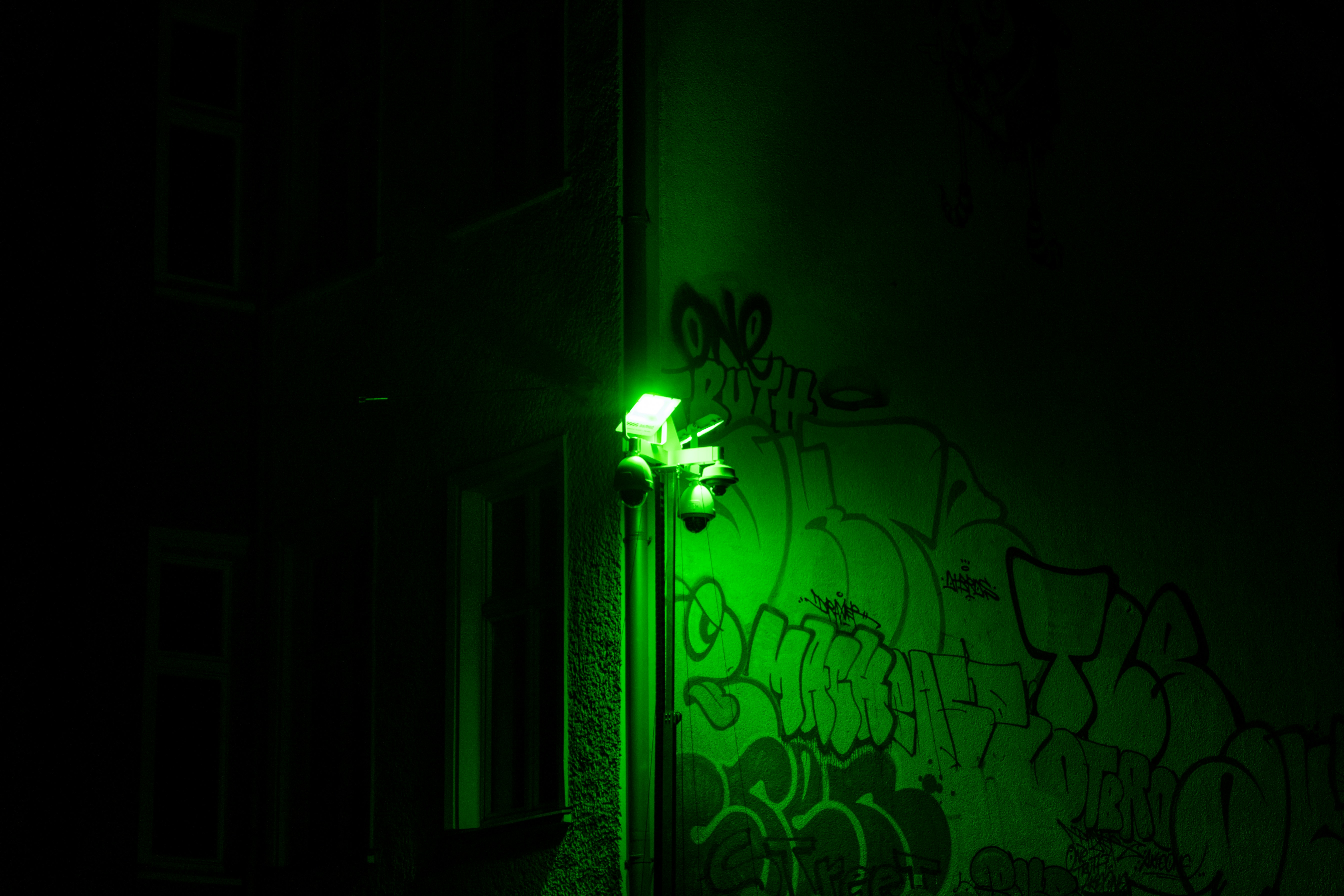 Verdant Sentinel Over Graffiti: Night Glow on a City Wall