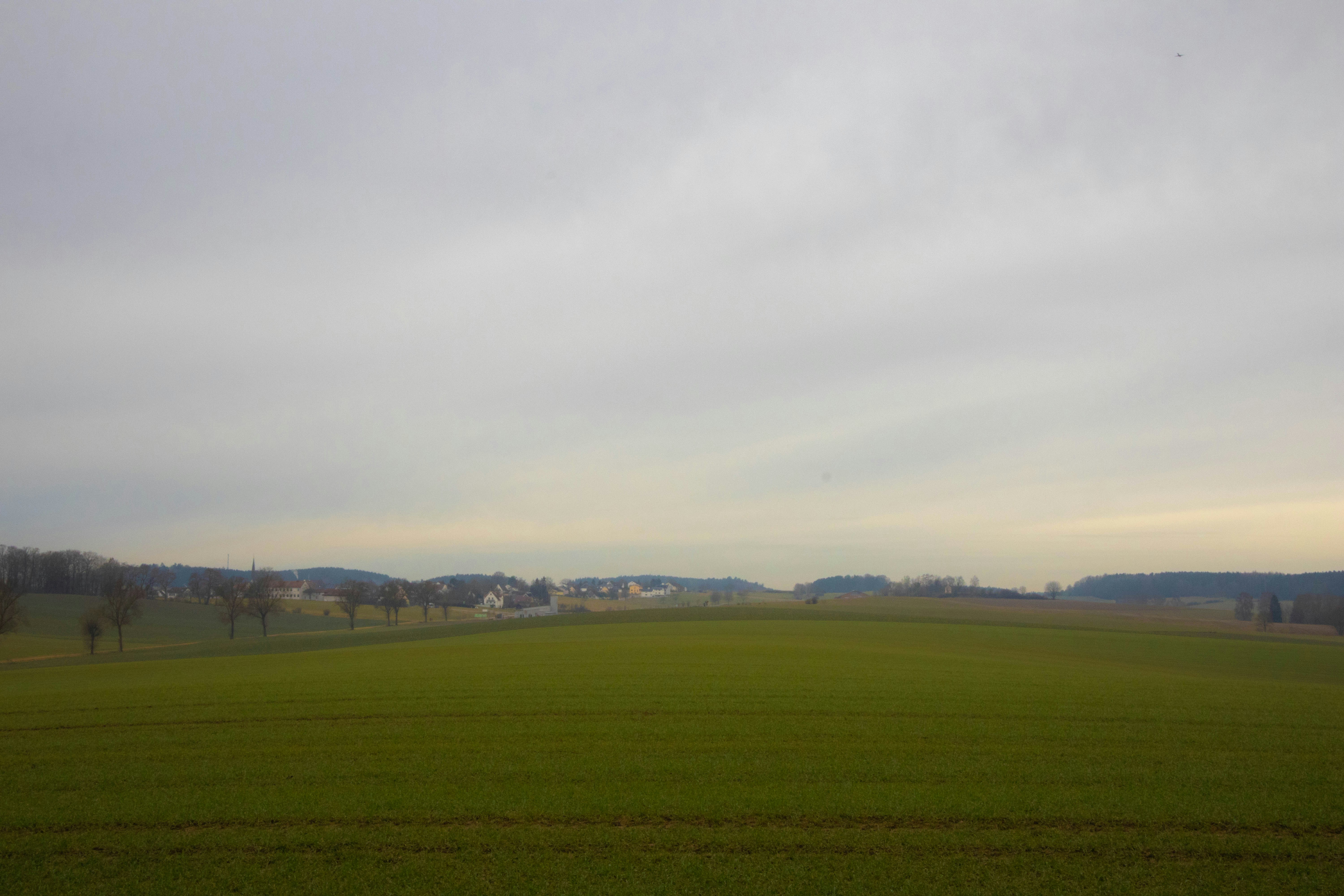 Horizon Row: Farmhouses Nestled Beyond a Quiet Prairie