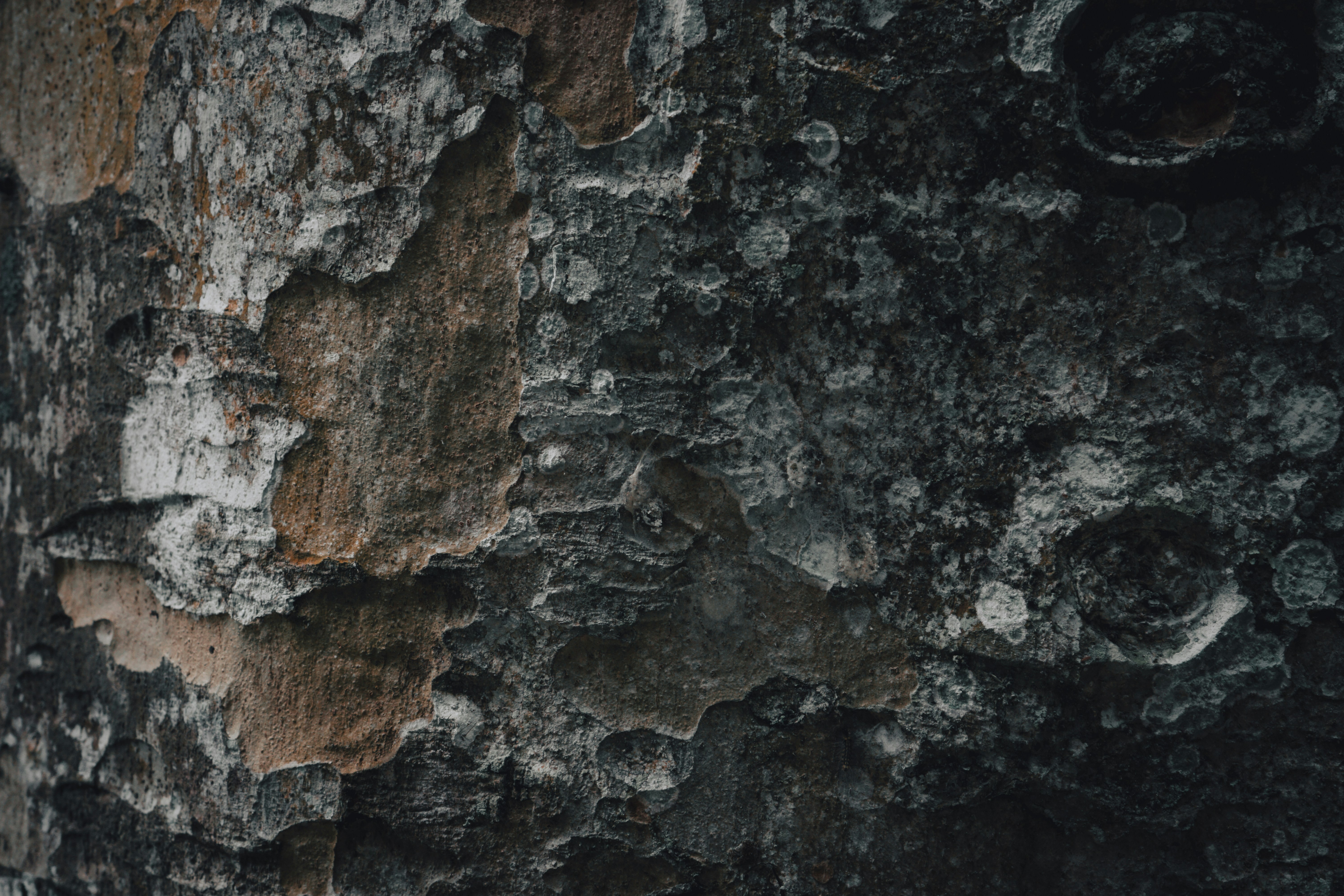 Photo by Asep Rendi with Sony Alpha 6000