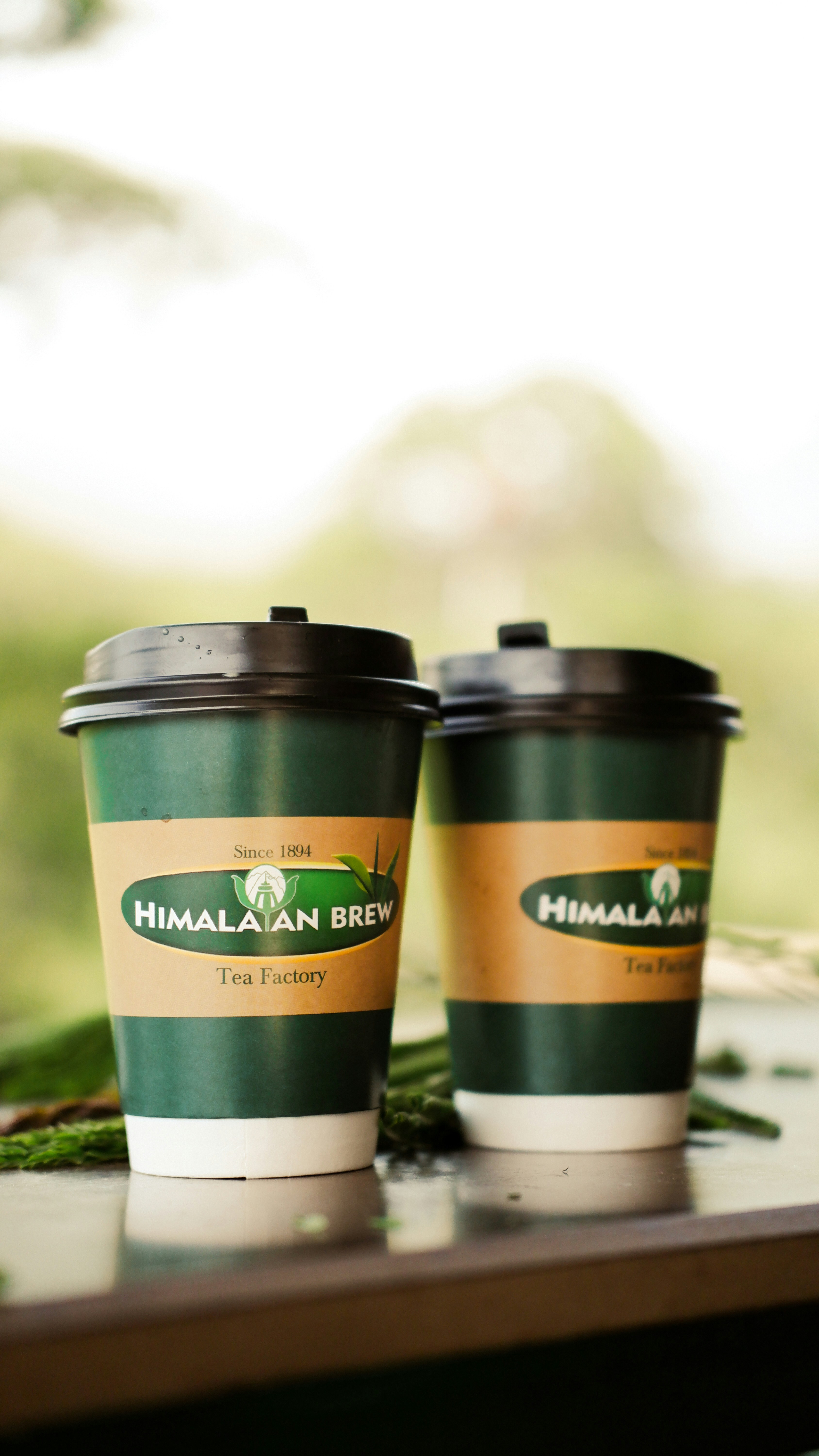 Green Cup Duet: Himalayan Brew in a Sunlit Outdoor Moment
