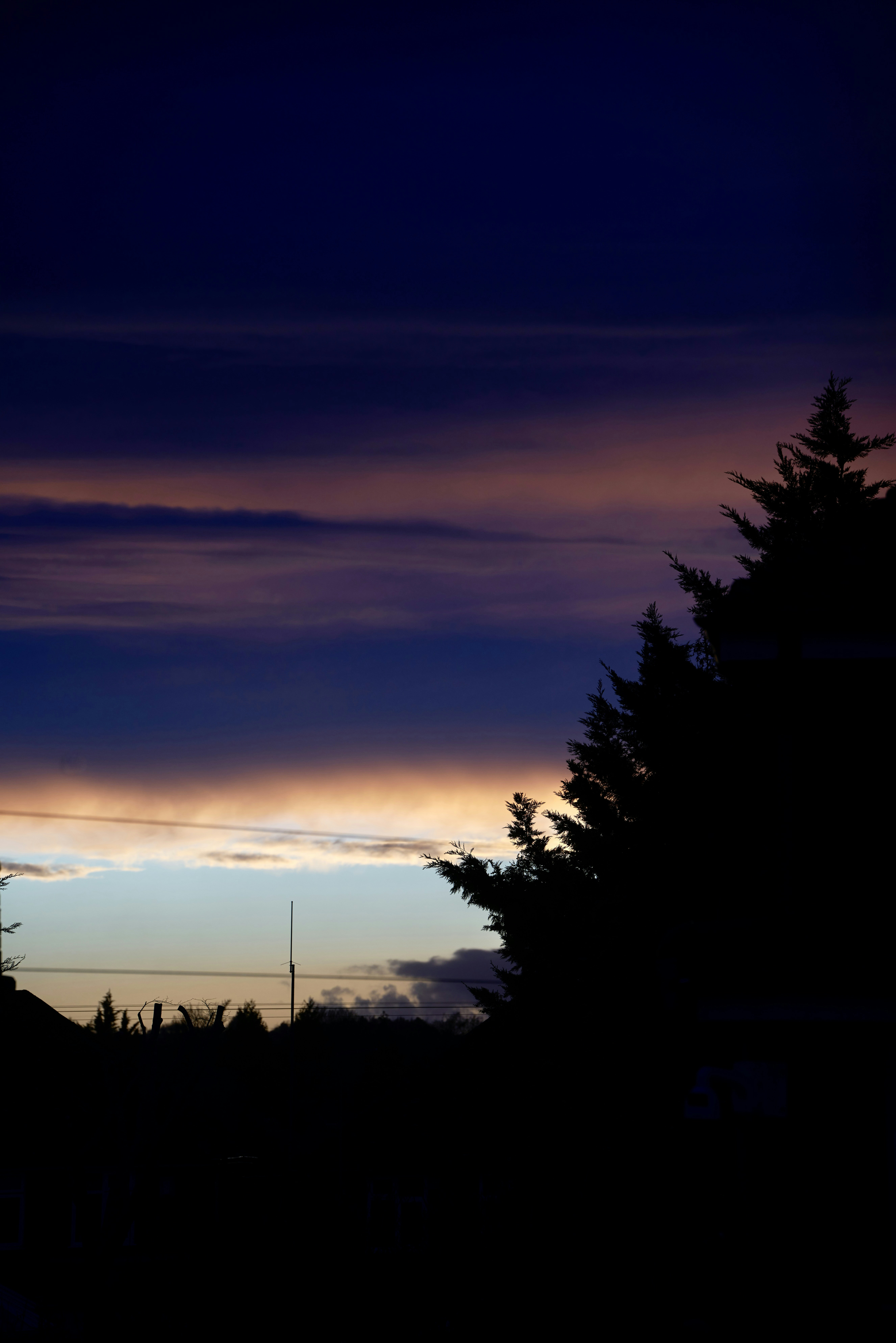 Ember Horizon: Silhouetted Pines at Dusk