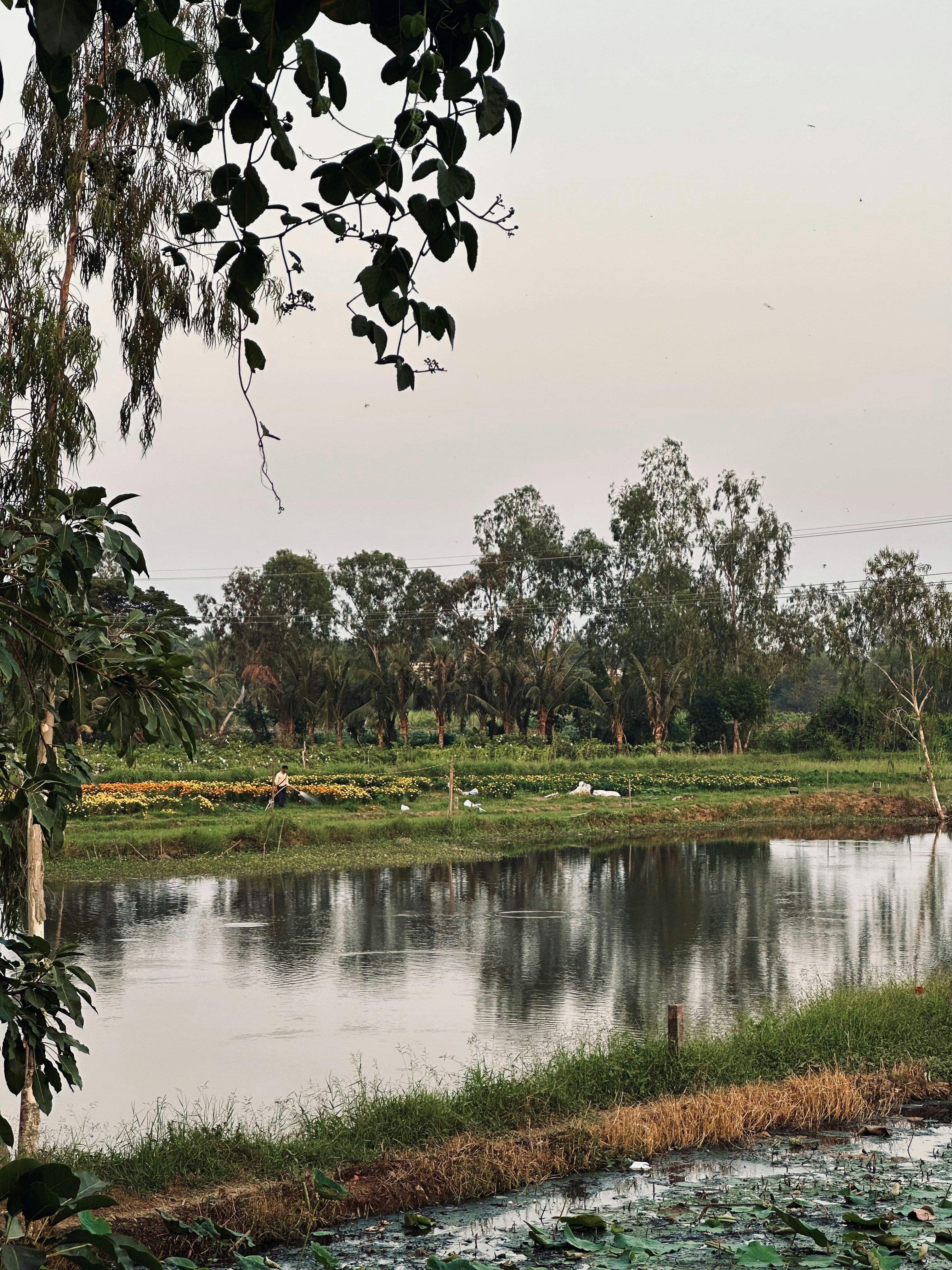 Photo by Cao Minh Đức with Apple iPhone 14 Pro Max