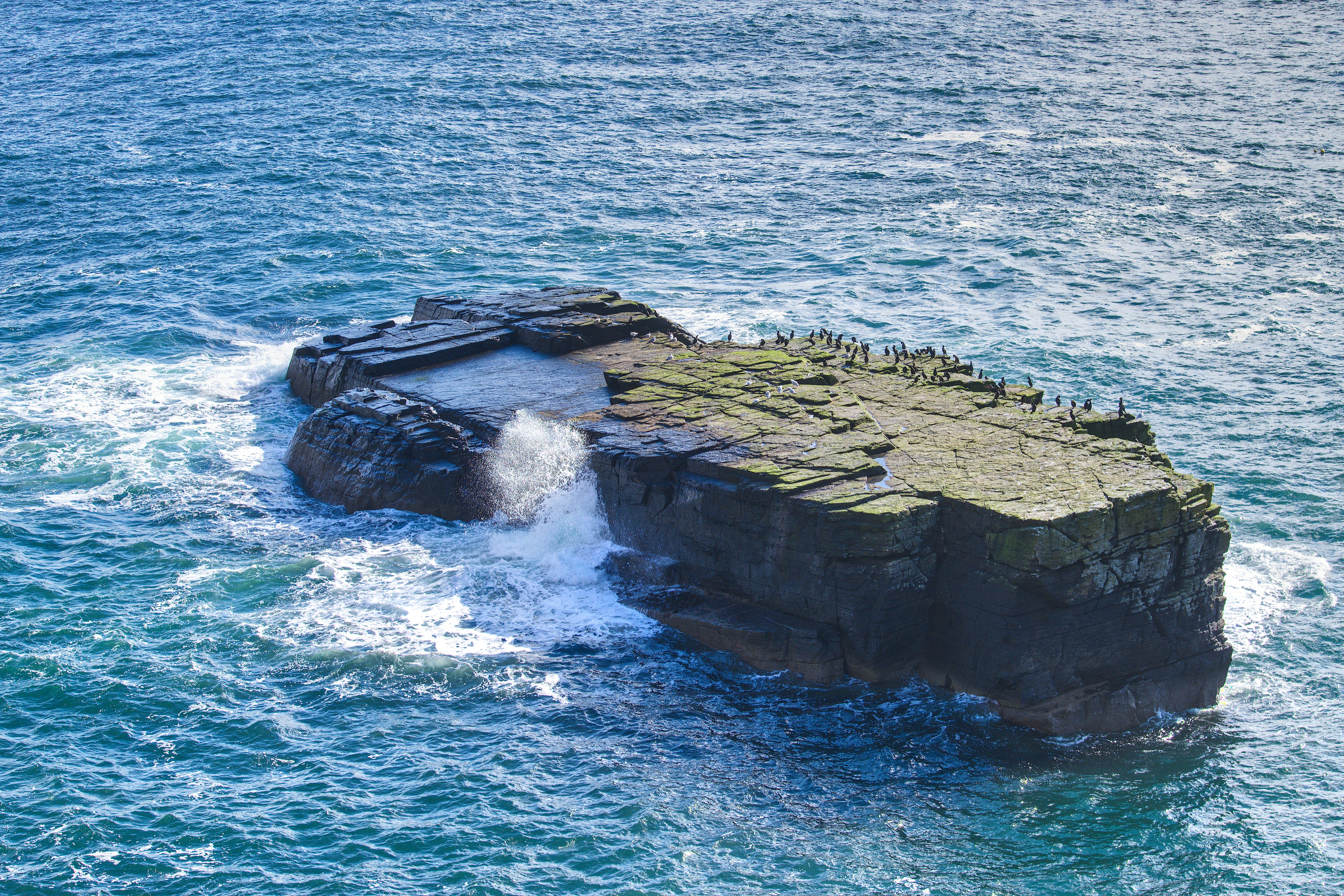 Lone Ocean Platform: Moss-Capped Rock Reaches into the Sea