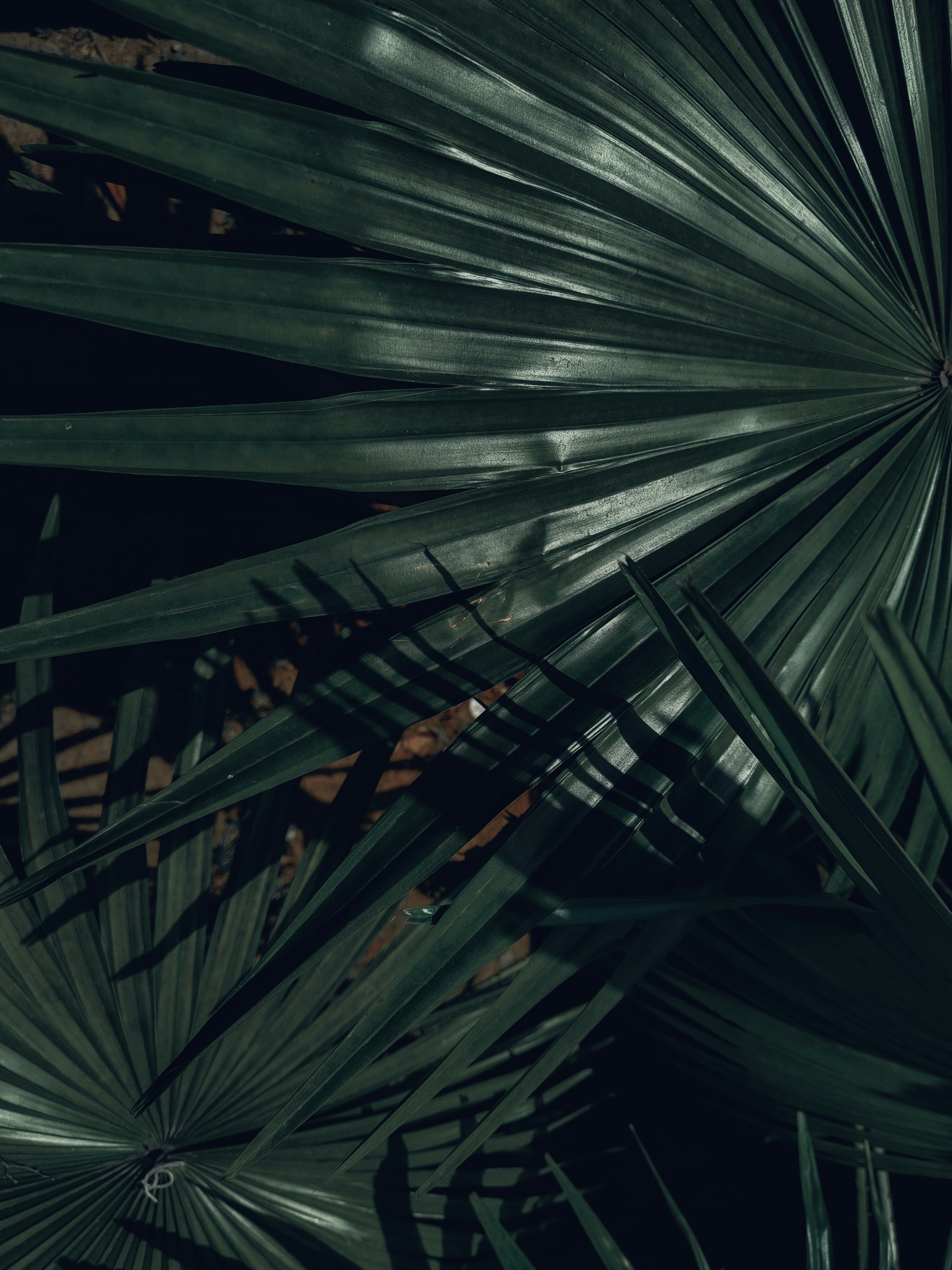 Photo by Ch. AMATUL HASIN with Realme 8 Pro