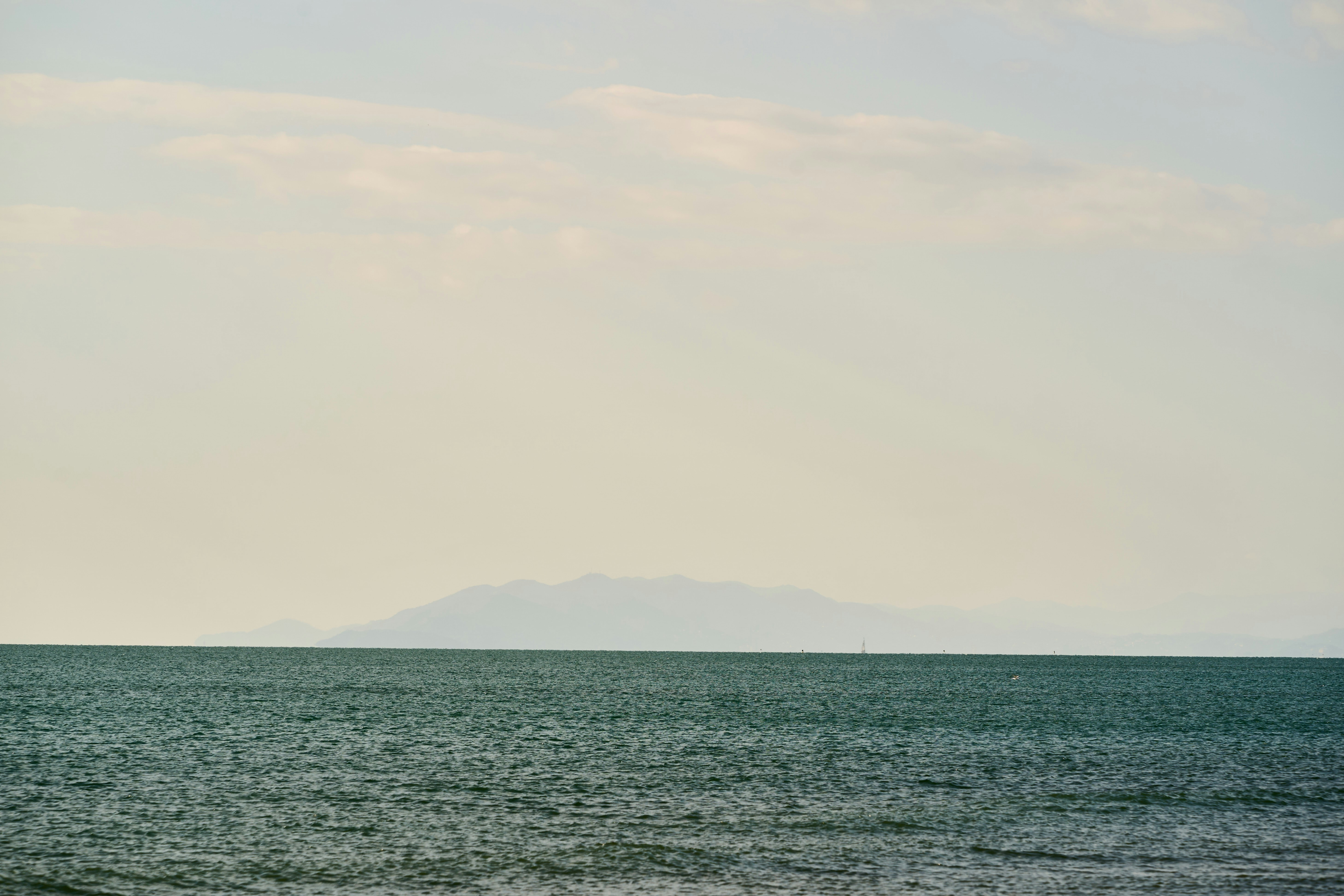 Photo by Wolfgang Hasselmann with Sony Alpha 7 III