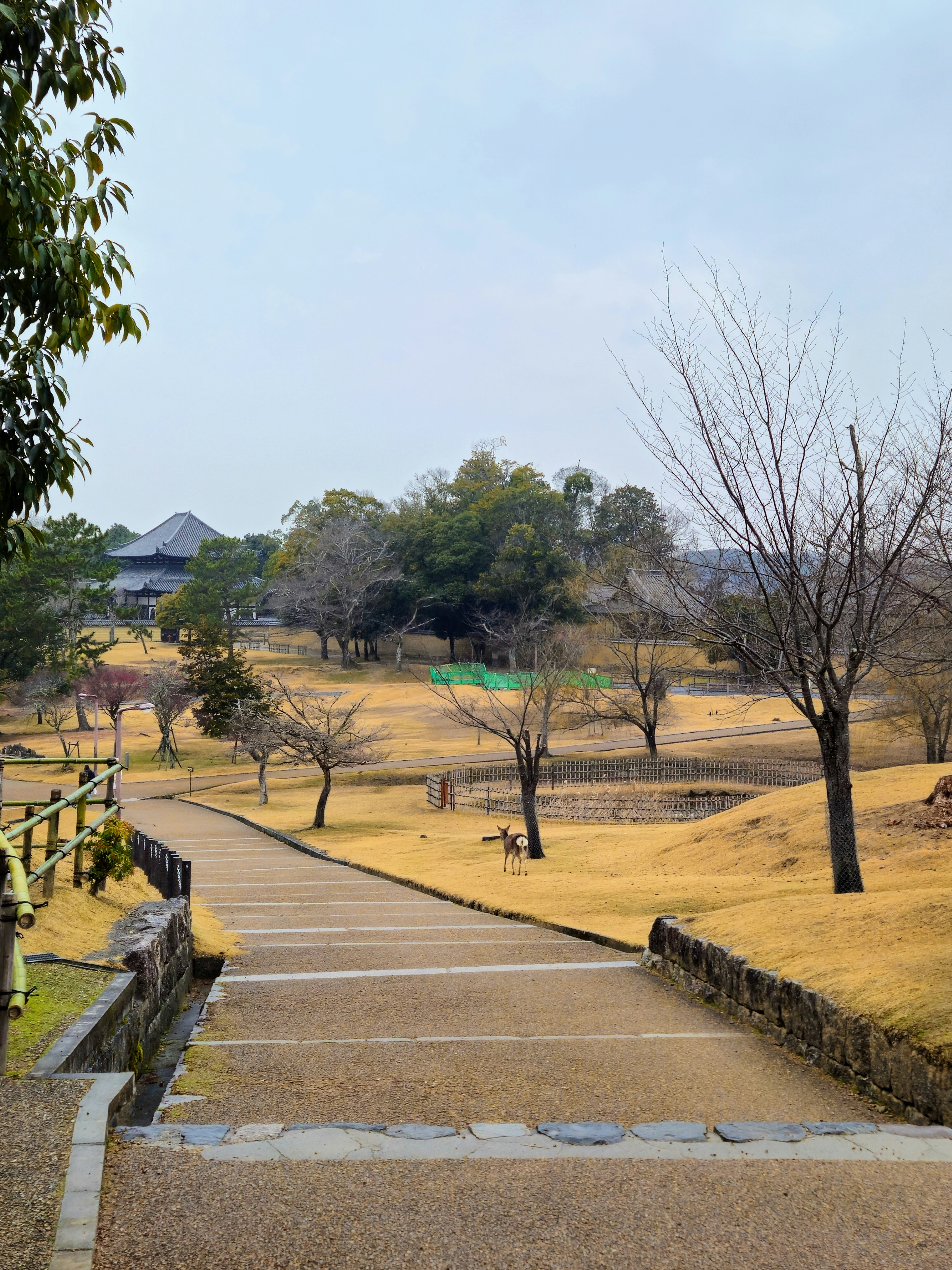 Tranquil park path winds through golden grass, with a solitary deer near the trees and distant traditional-style buildings.