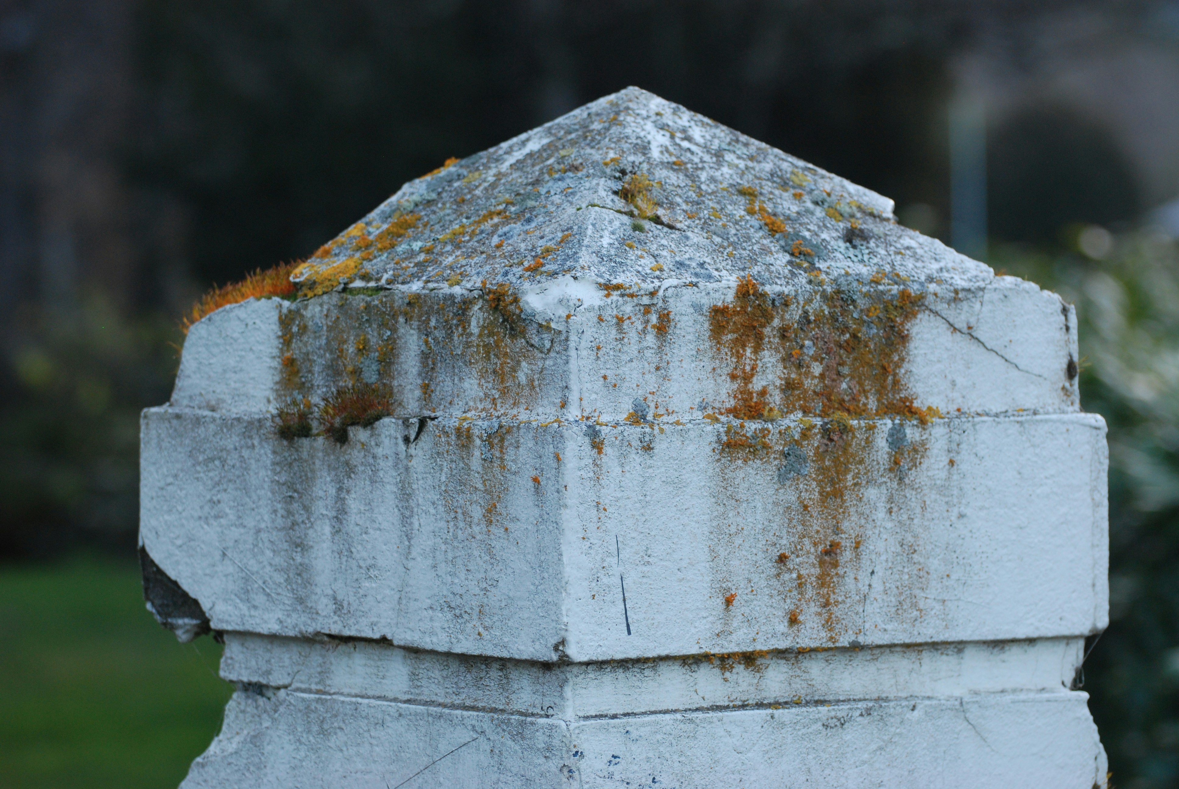 Nature's Palette: The Weathered Stone