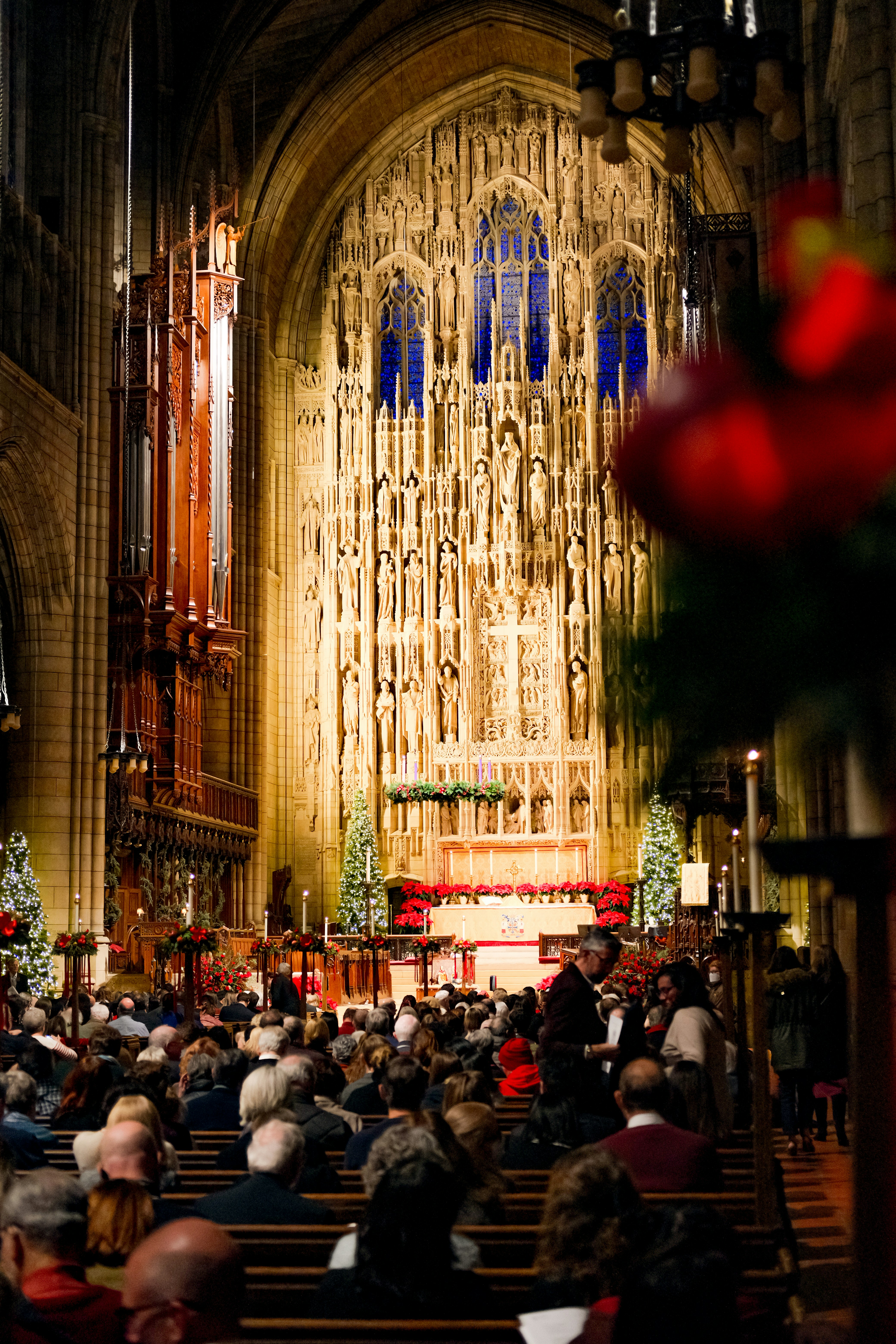 Photo by Dmitry Kropachev with Fujifilm X-S10