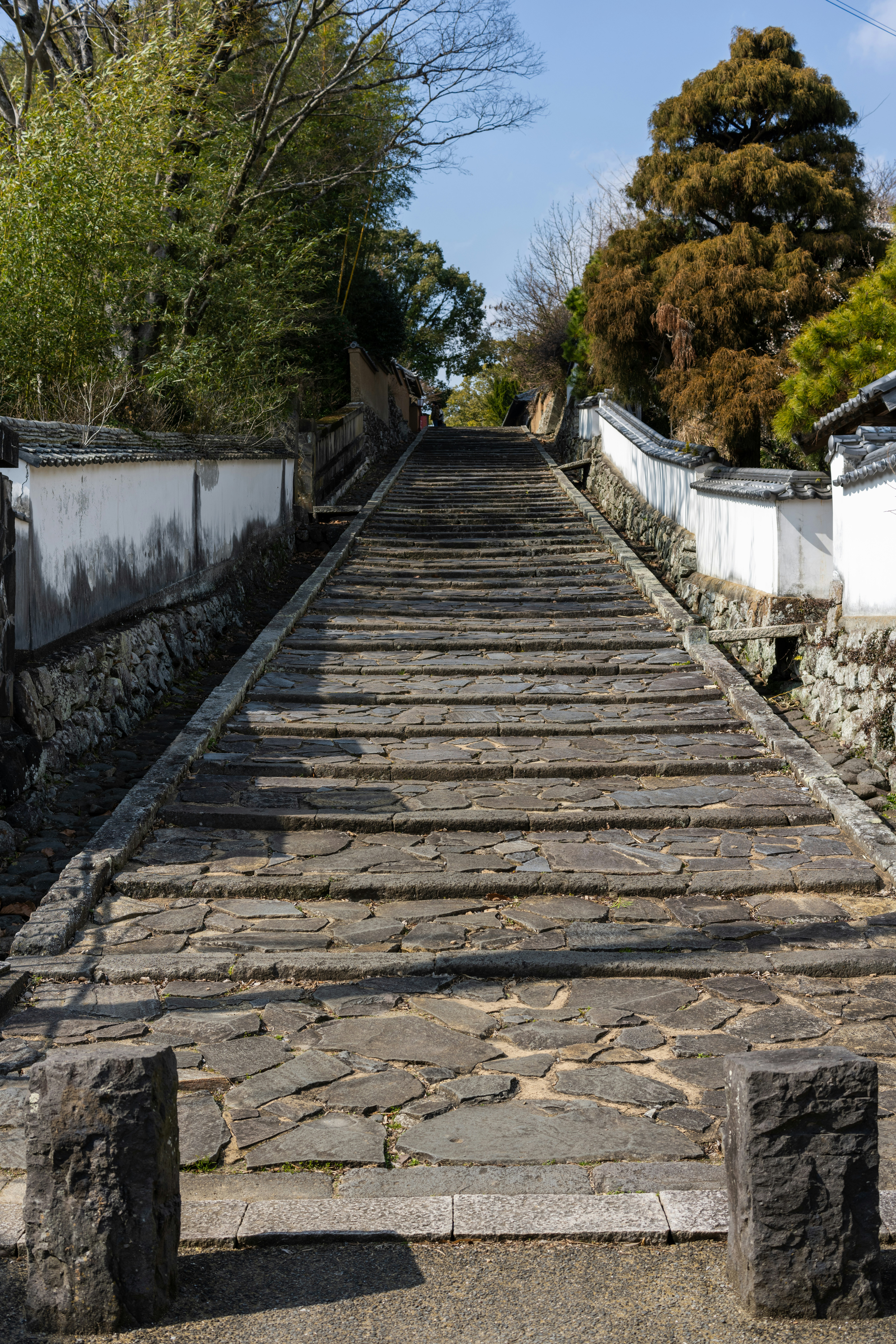 Photo by Kouji Tsuru with Nikon Z7 II