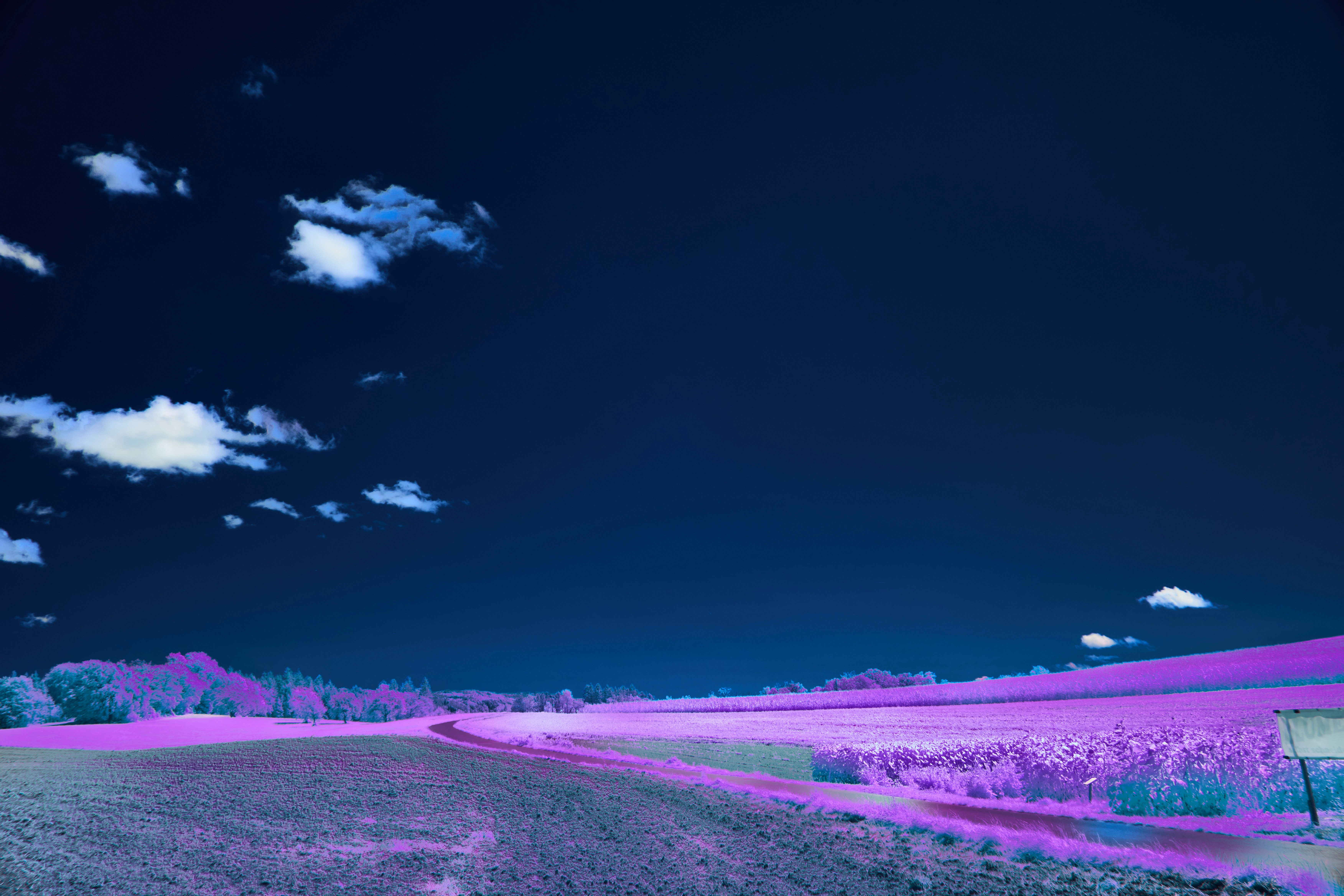 Photo by Wolfgang Hasselmann with Sony Alpha 7 IV