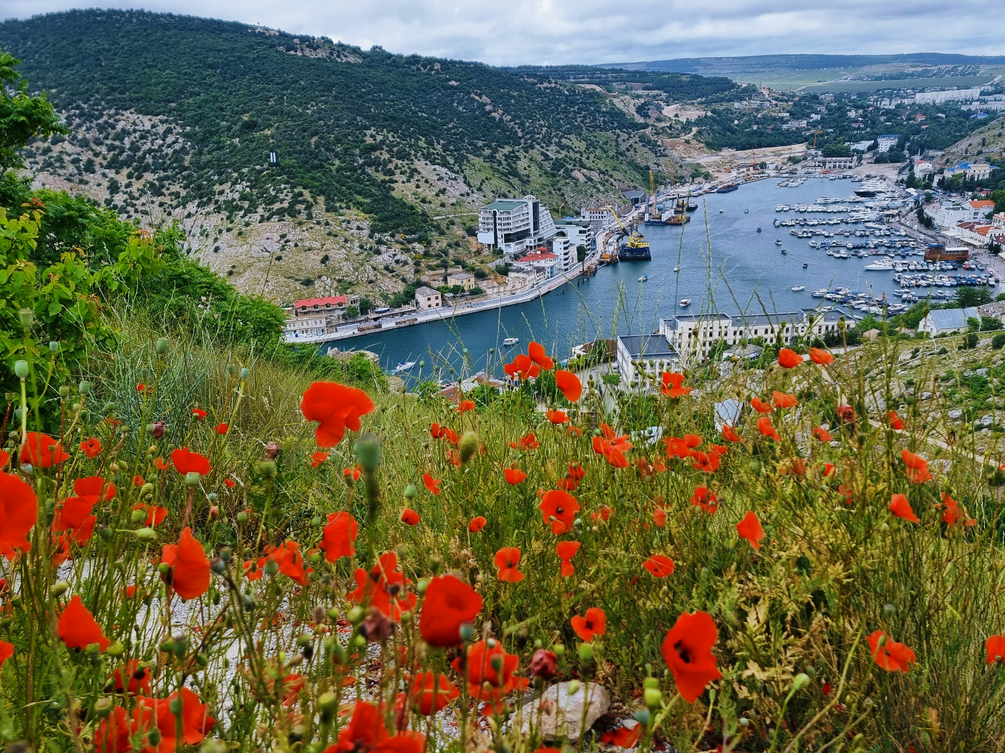 Photo by Konstantin Dyadyun with Samsung Galaxy S21 Ultra