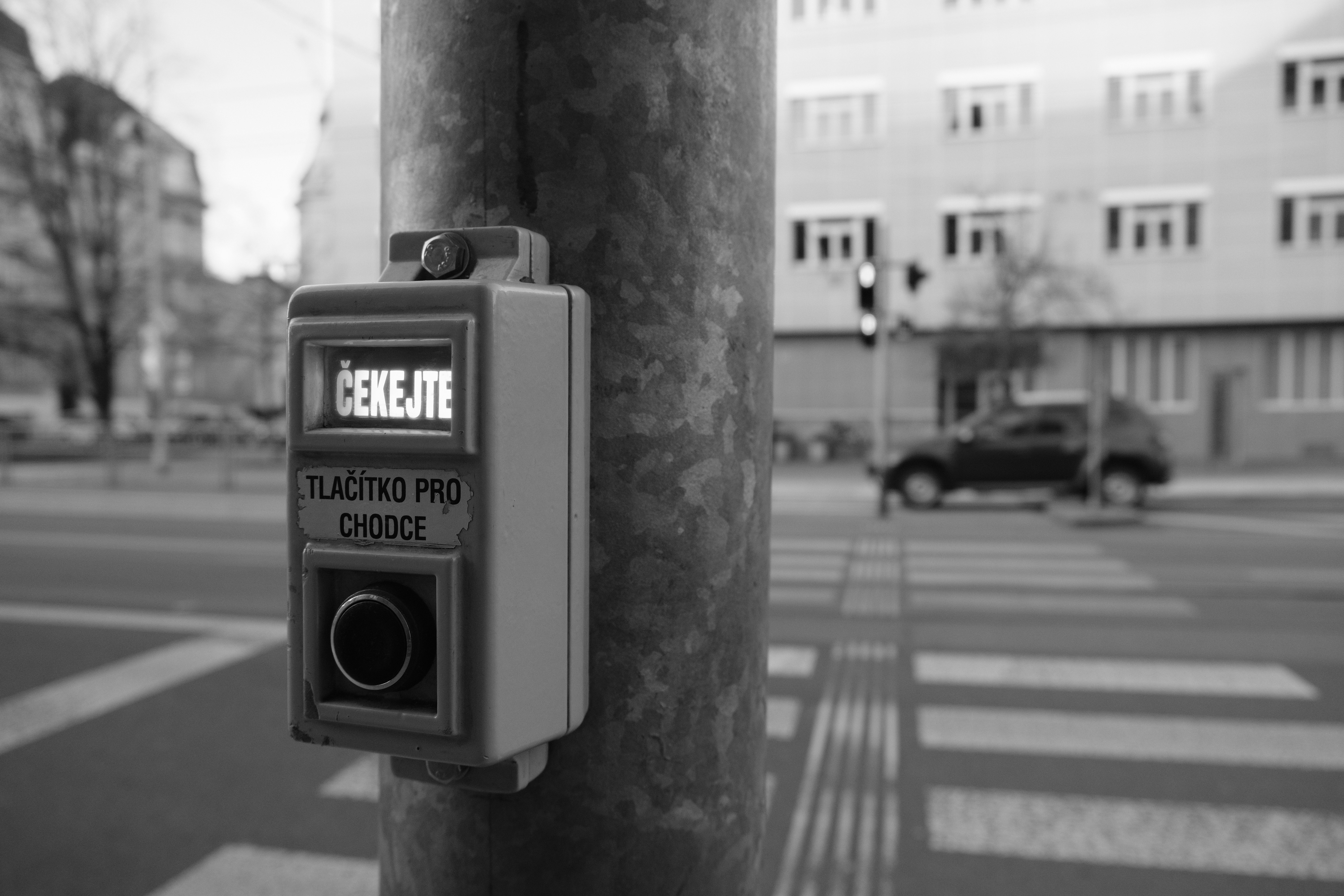 Push for Passage: A Monochrome Moment at the City Crosswalk