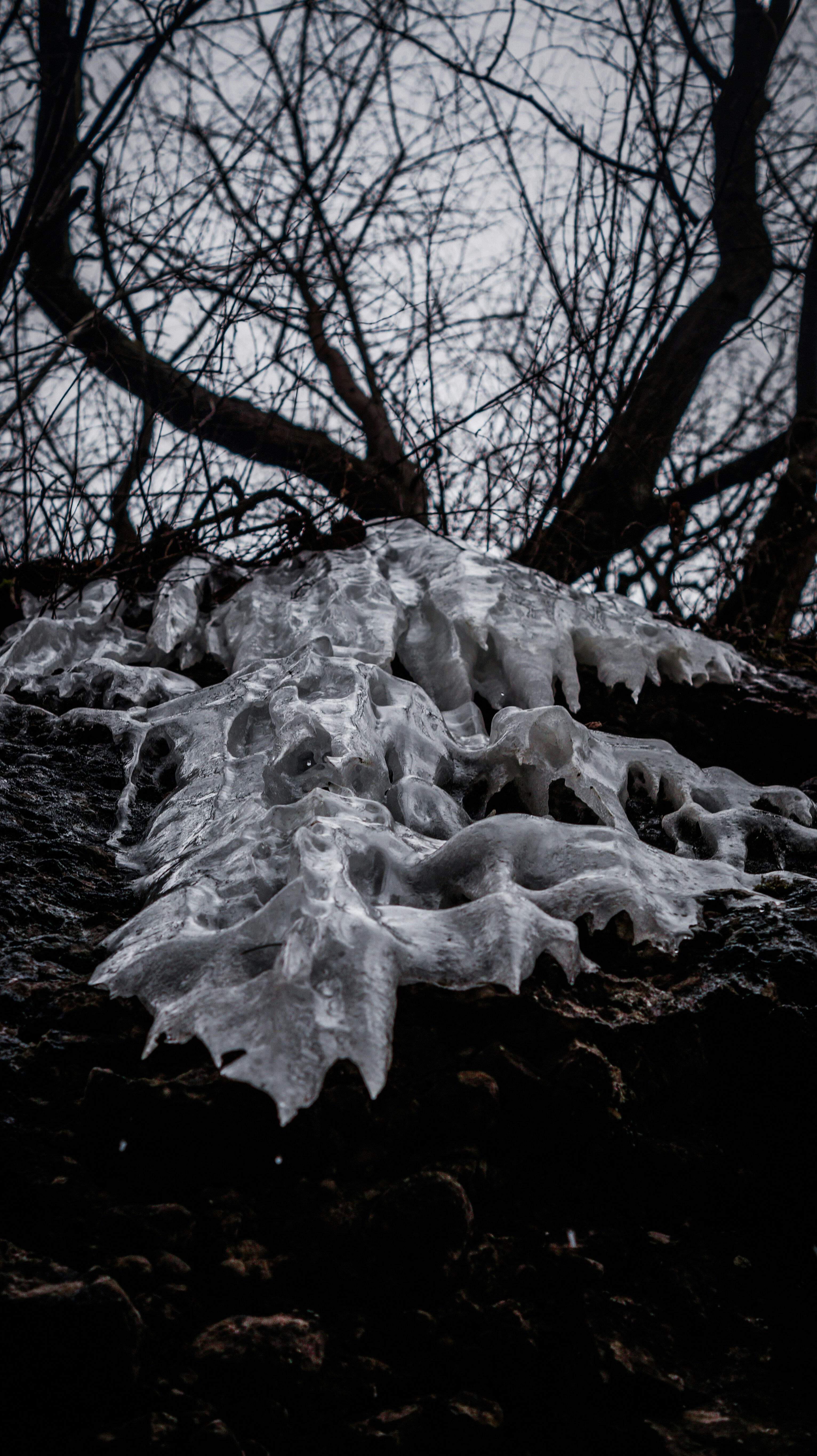 A bunch of snow that is on the ground photo – Free Ice Image on Unsplash