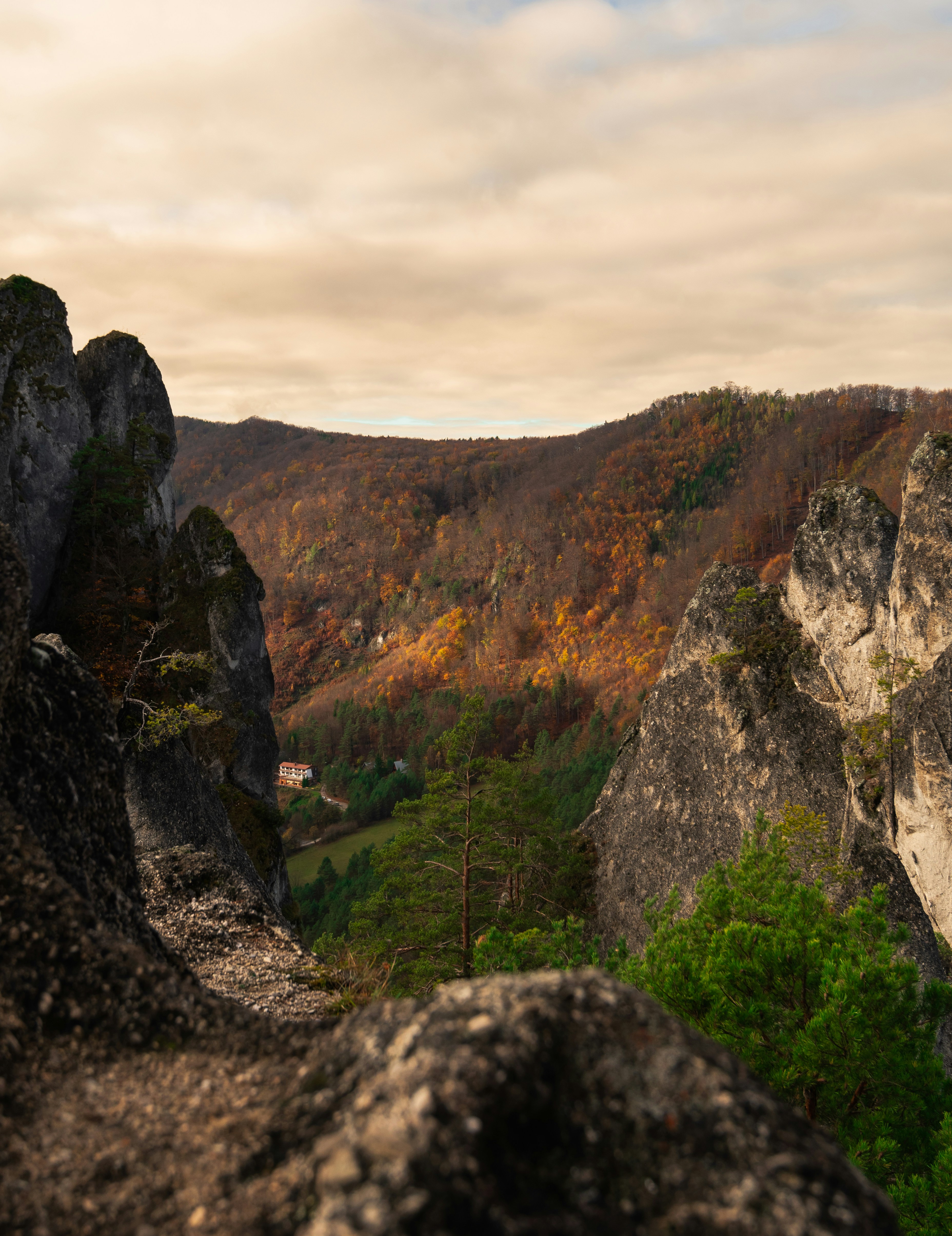 A scenic view of a valley and mountains photo – Free Slovakia Image on ...