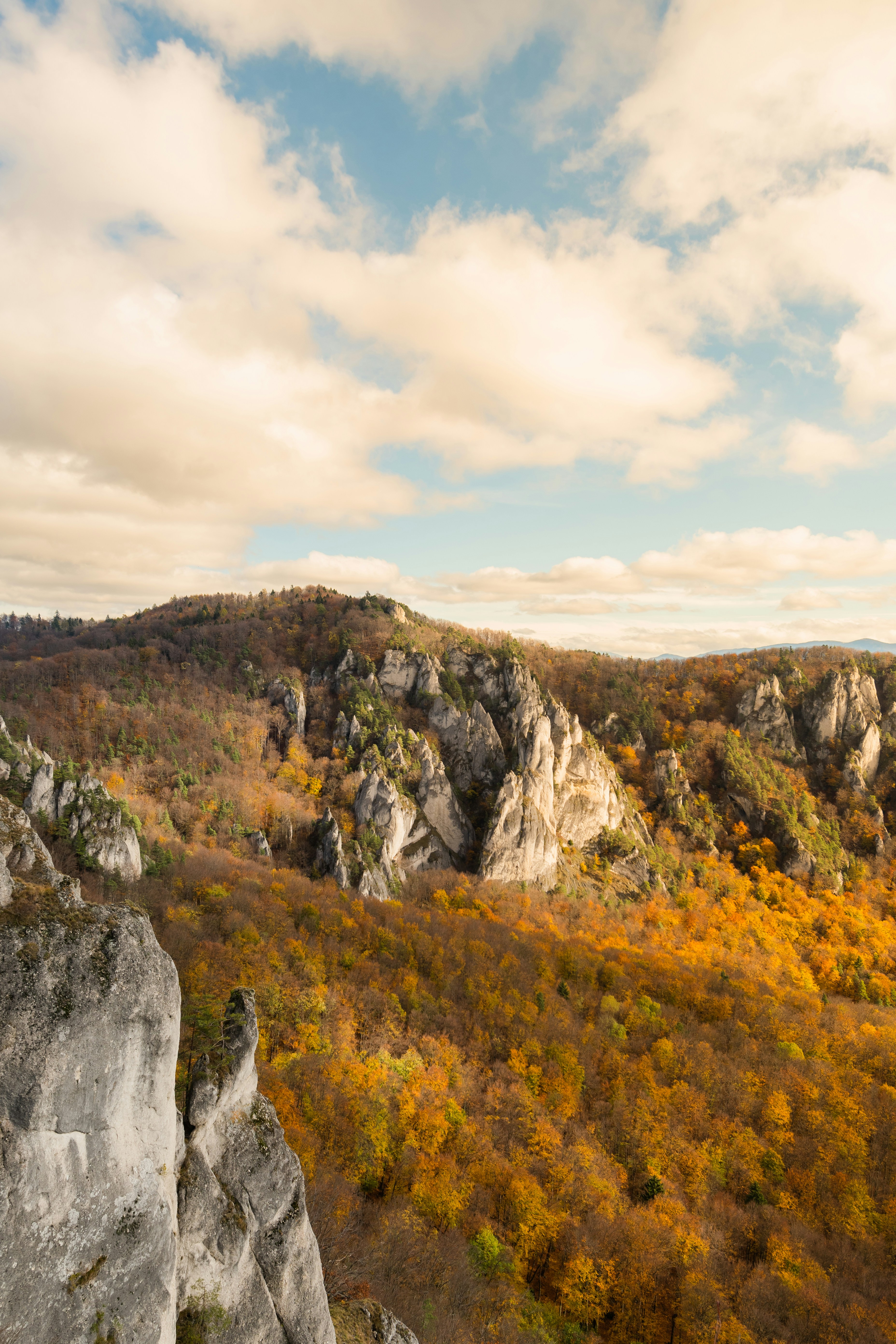 A scenic view of a valley with trees and rocks photo – Free Slovakia ...