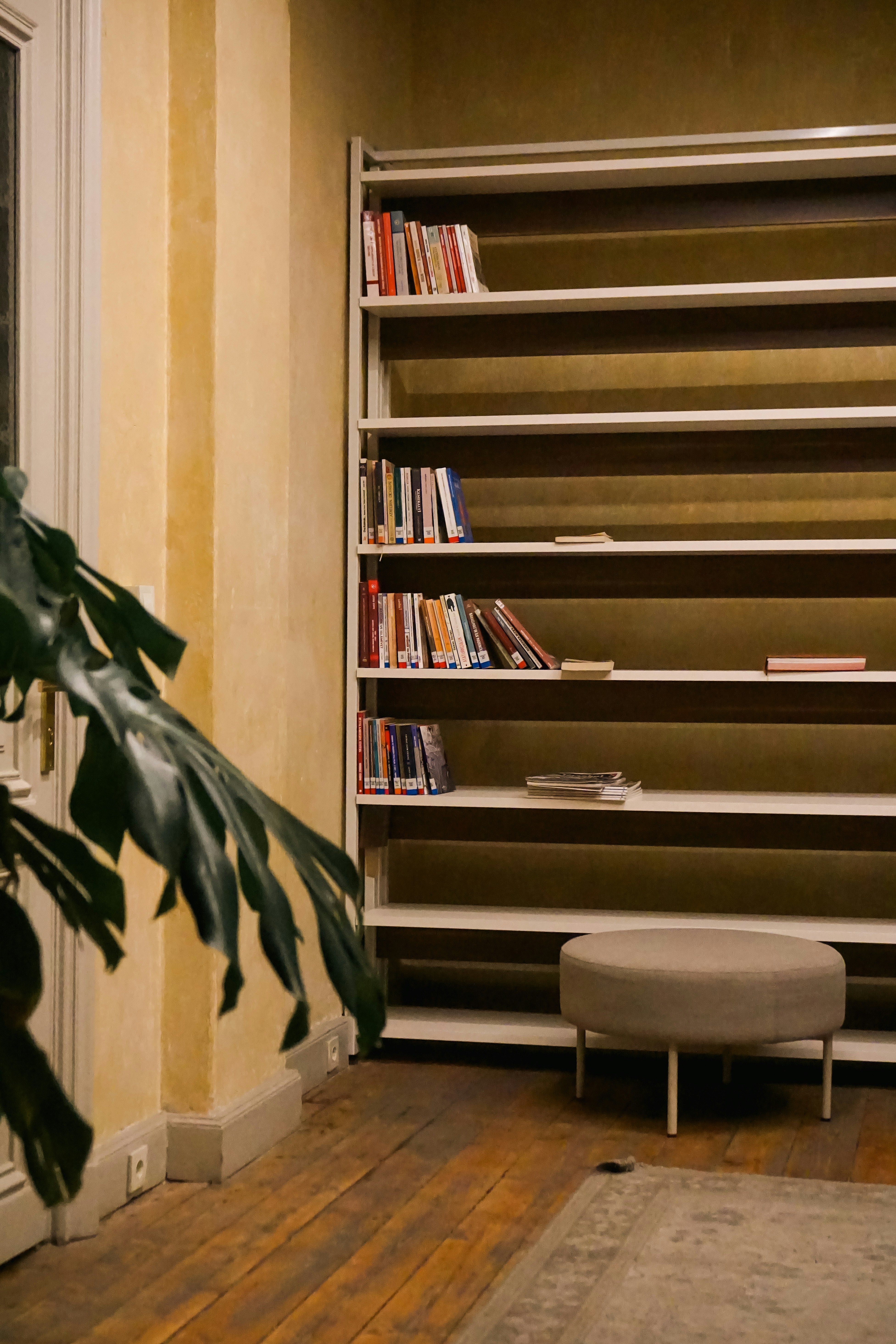 Empty Library Nook with Archive Shelves and Plush Seating