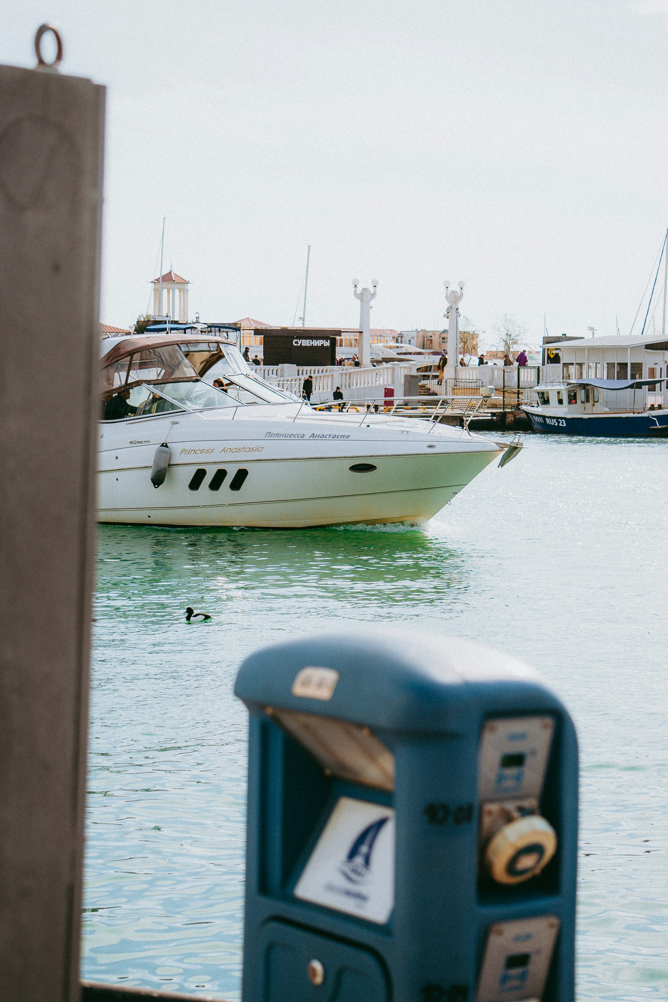 Un par de botes que están en el agua foto – Imagen de Gris gratuita en ...