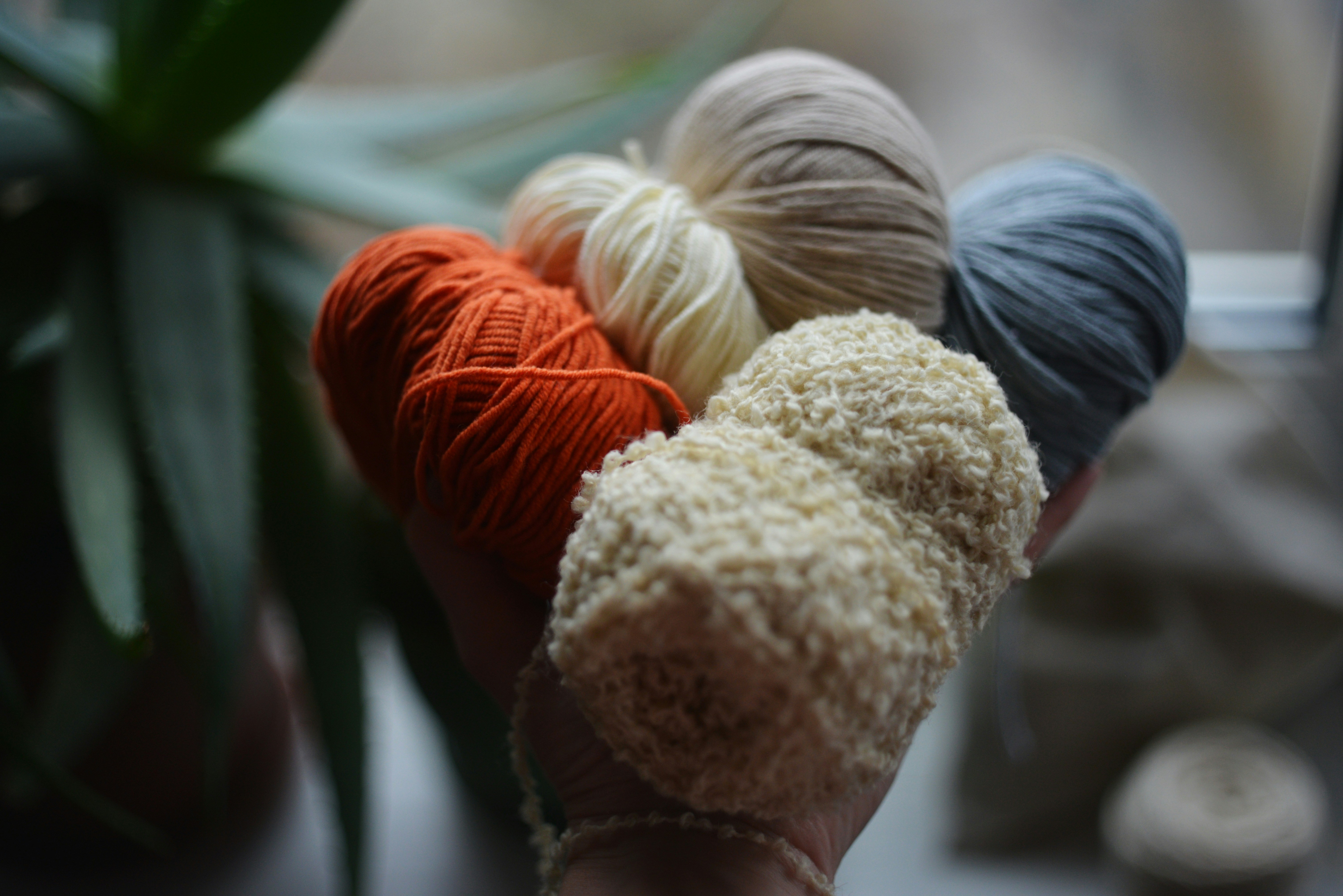 A person holding three balls of yarn in their hands photo – Free Kyiv ...