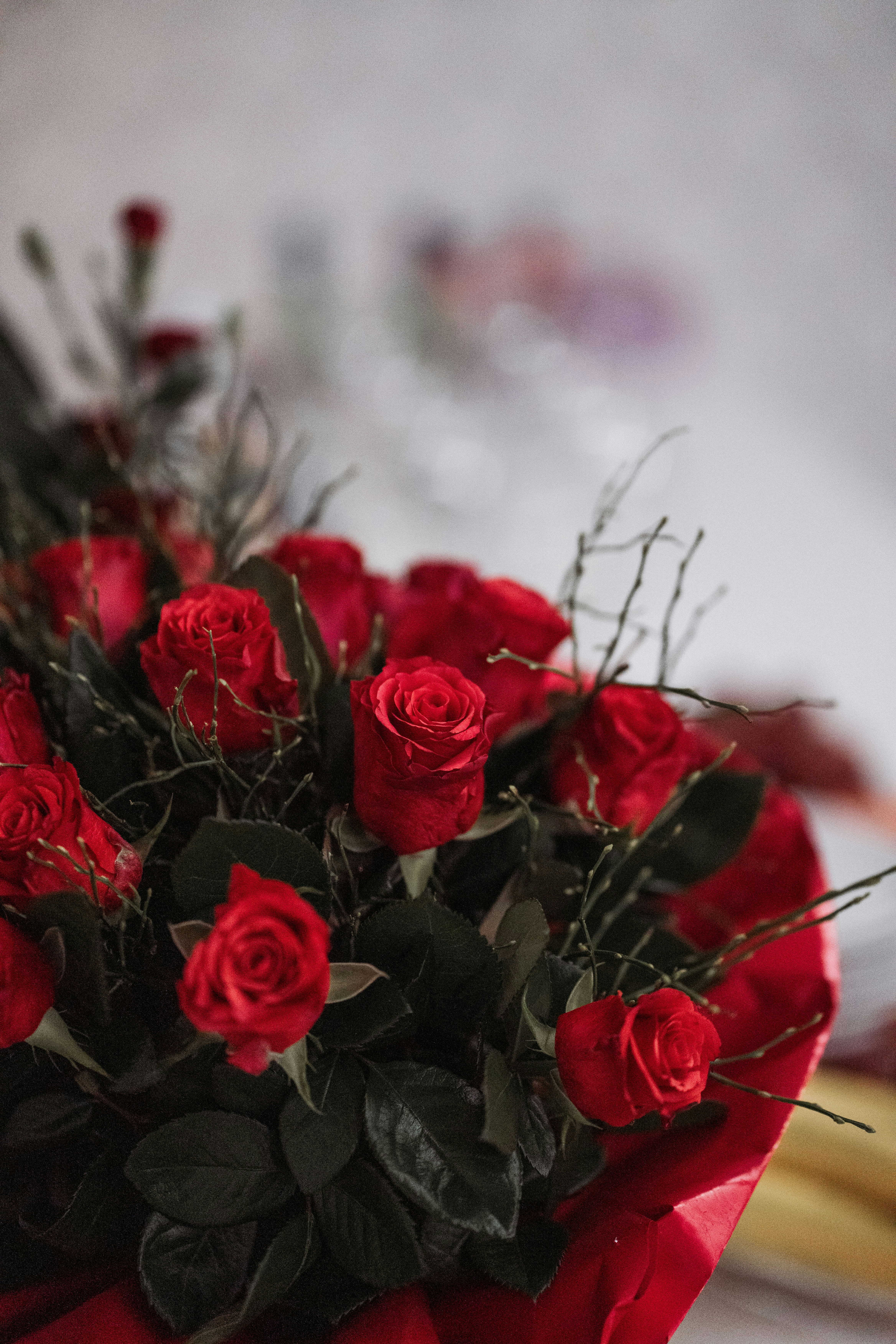 A bouquet of red roses sitting on top of a table photo – Free Poland ...