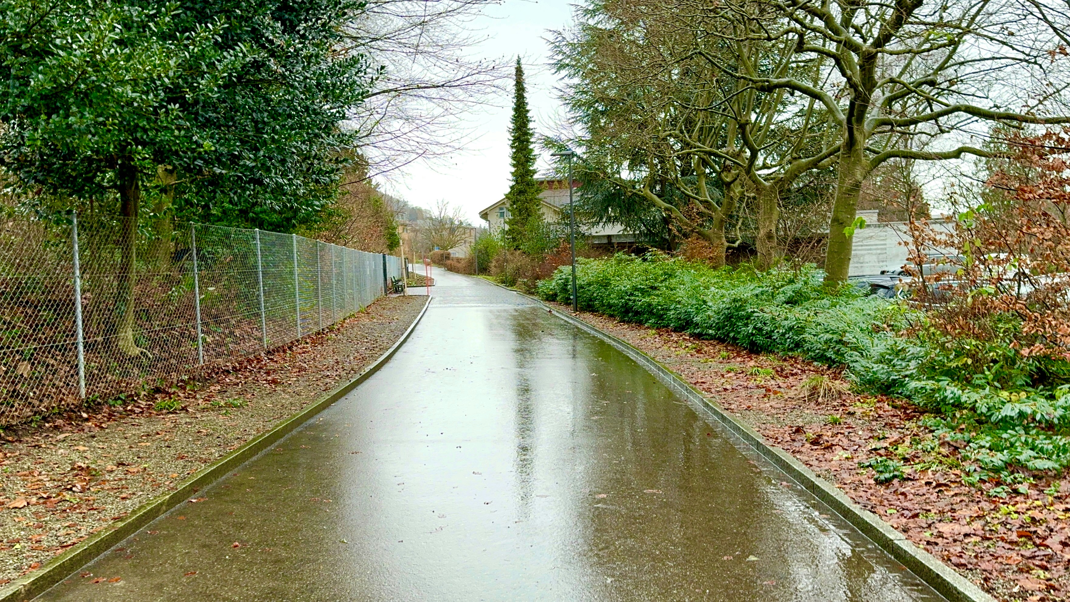 Central St.Gallen 🚸