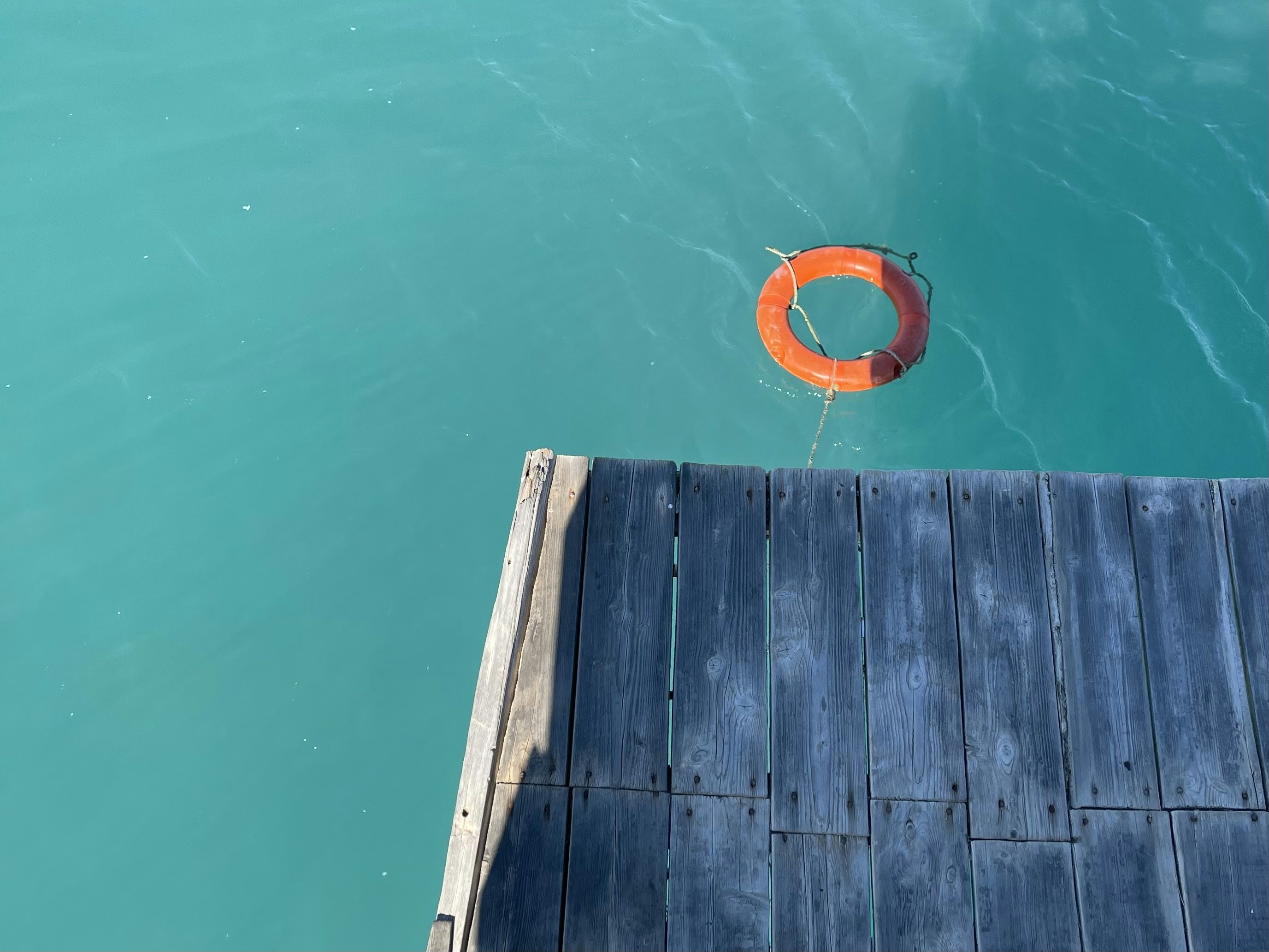 An orange life preserver floating in a body of water photo – Free Qeshm ...