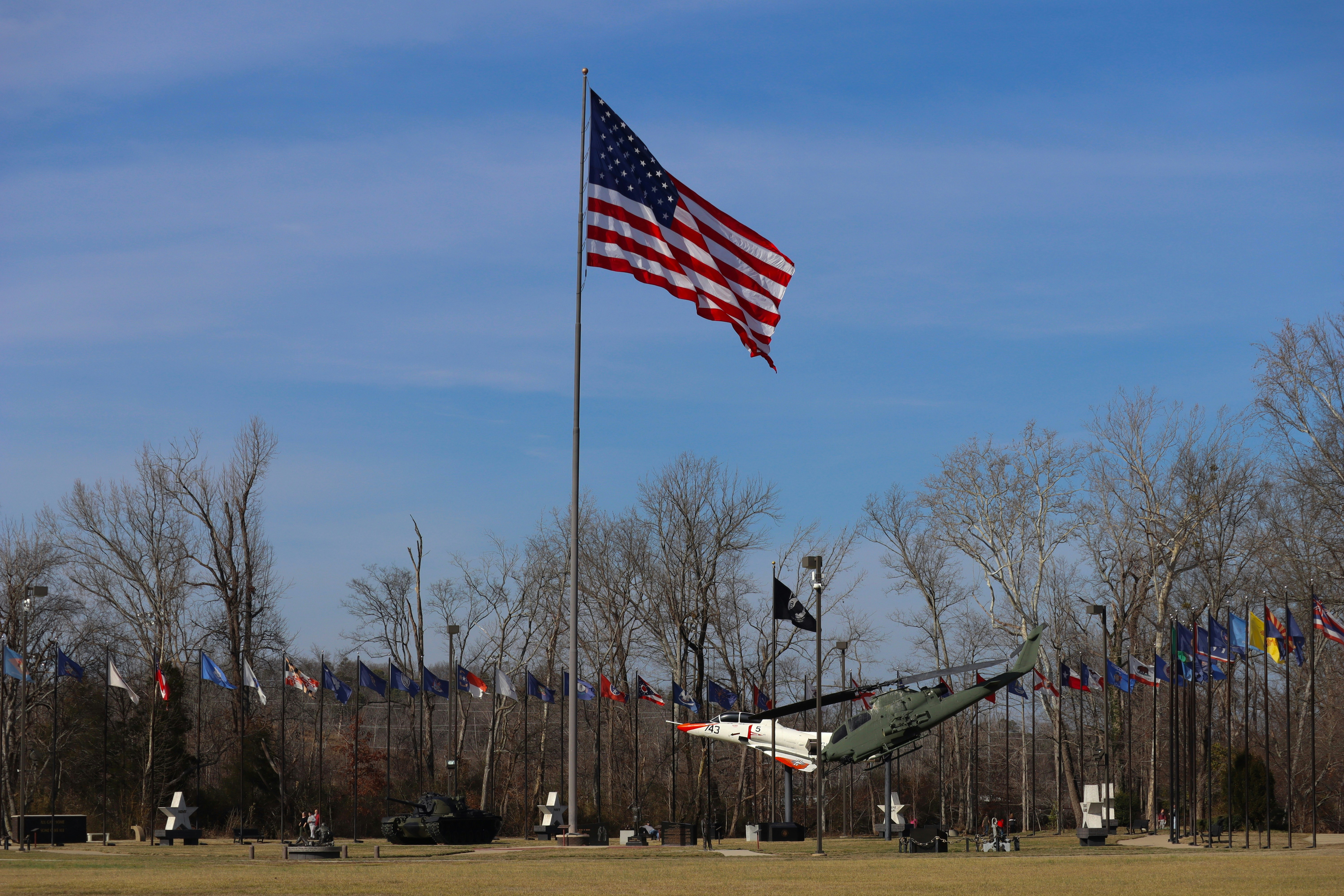 Pole of Honor Over Wings: A Park Aeronautics Display