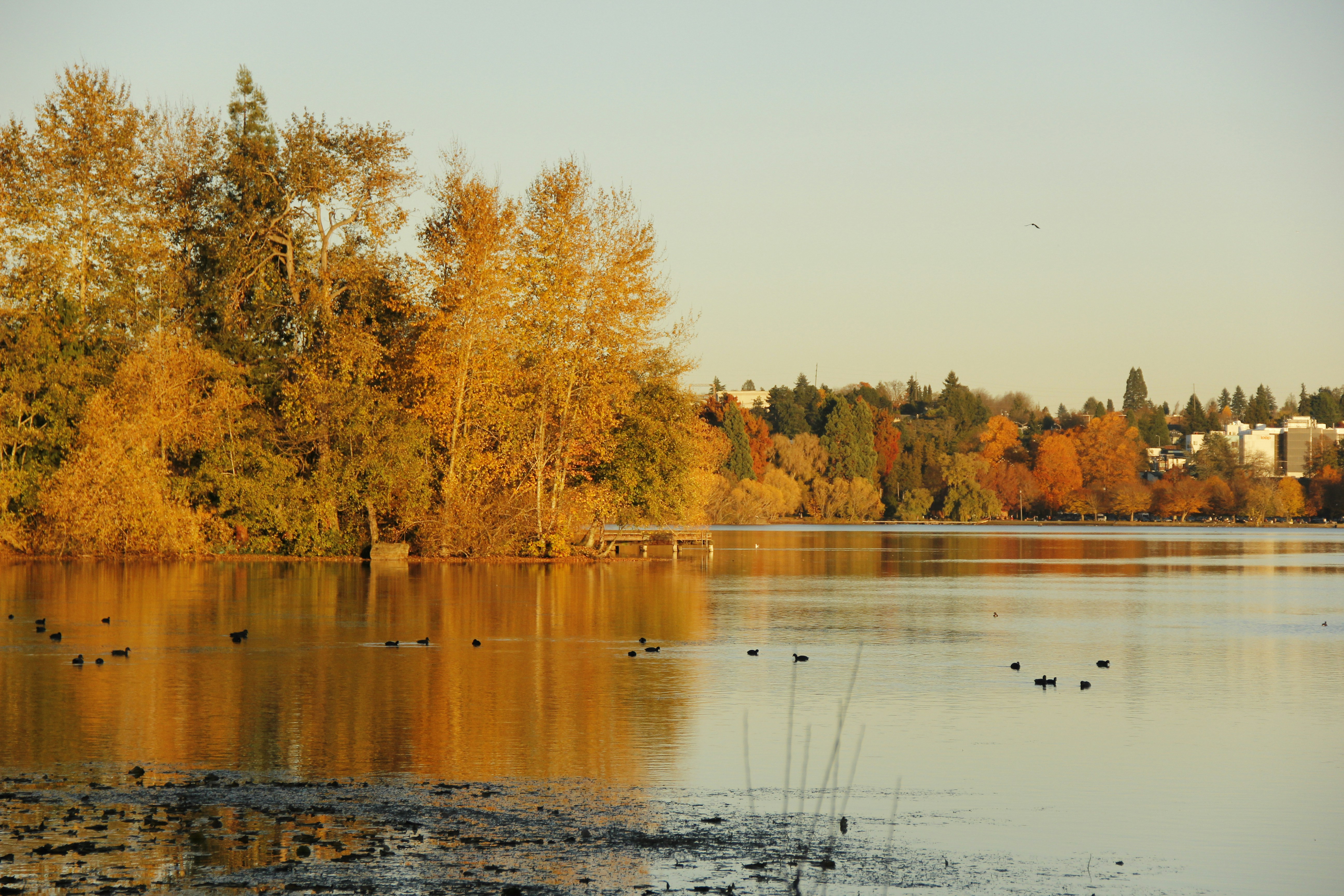 Photo by Riley Revell with Canon EOS 60D