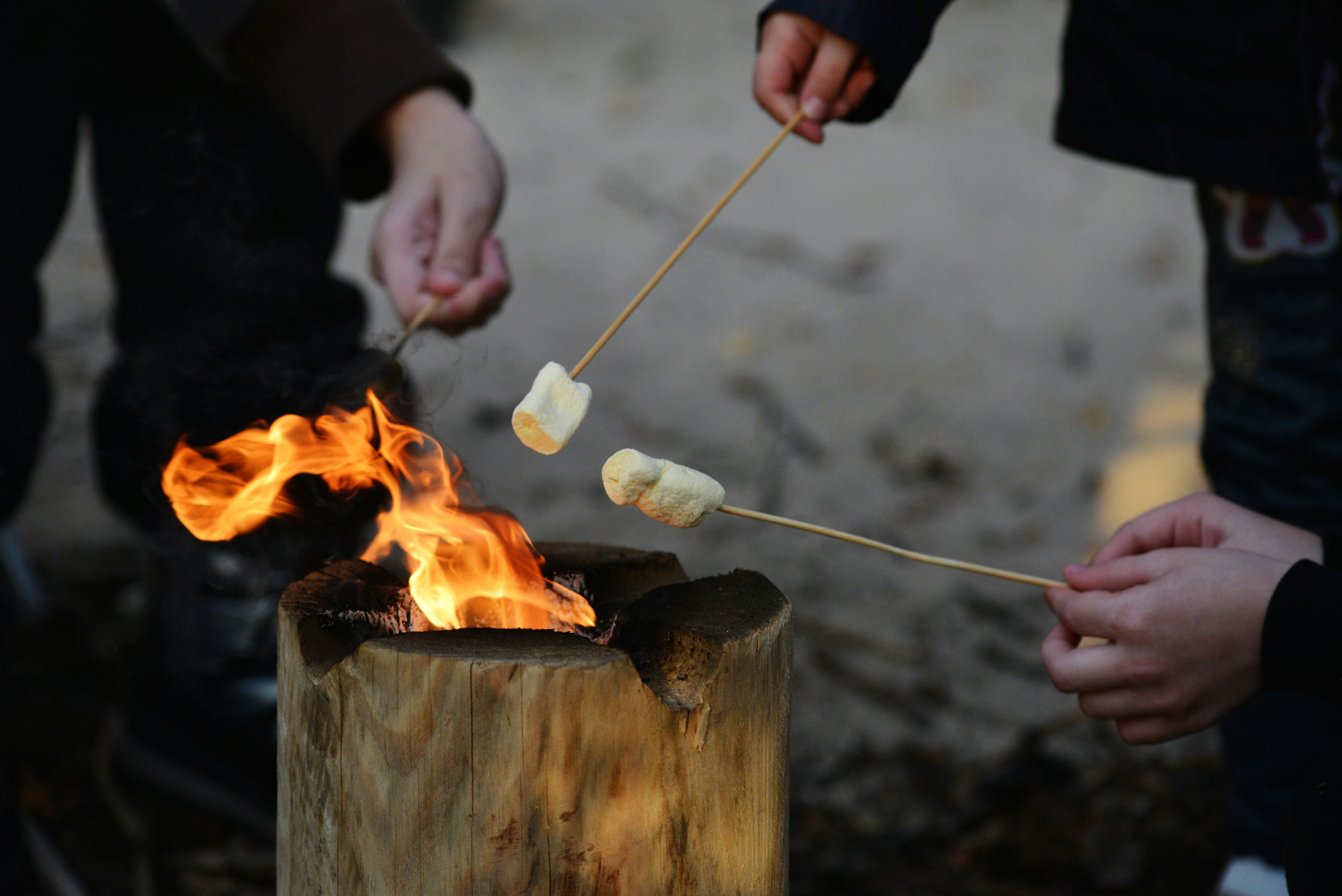 Ember Circle: Marshmallows Toasted Over a Timber Campfire