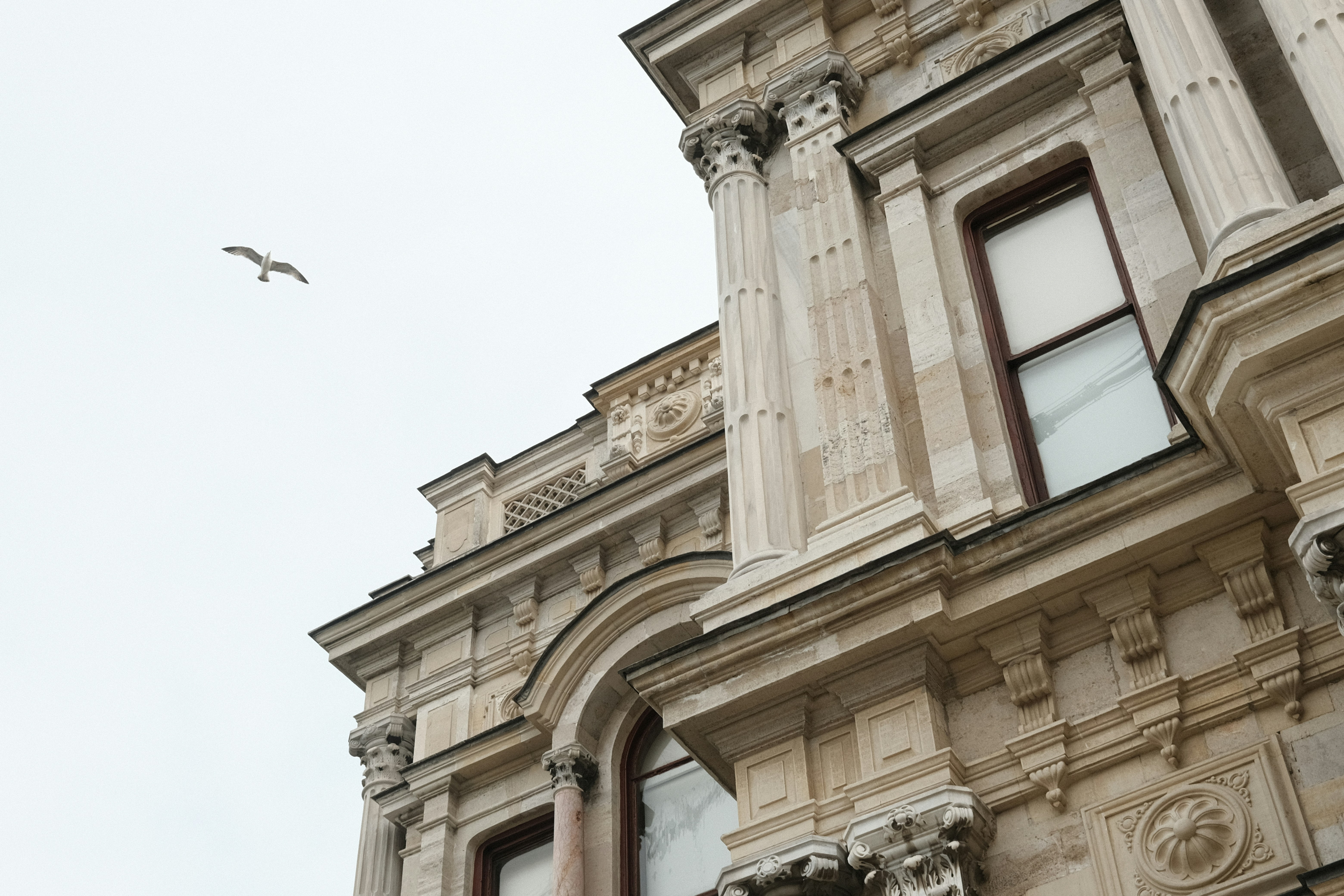 a bird flying in the sky over a building