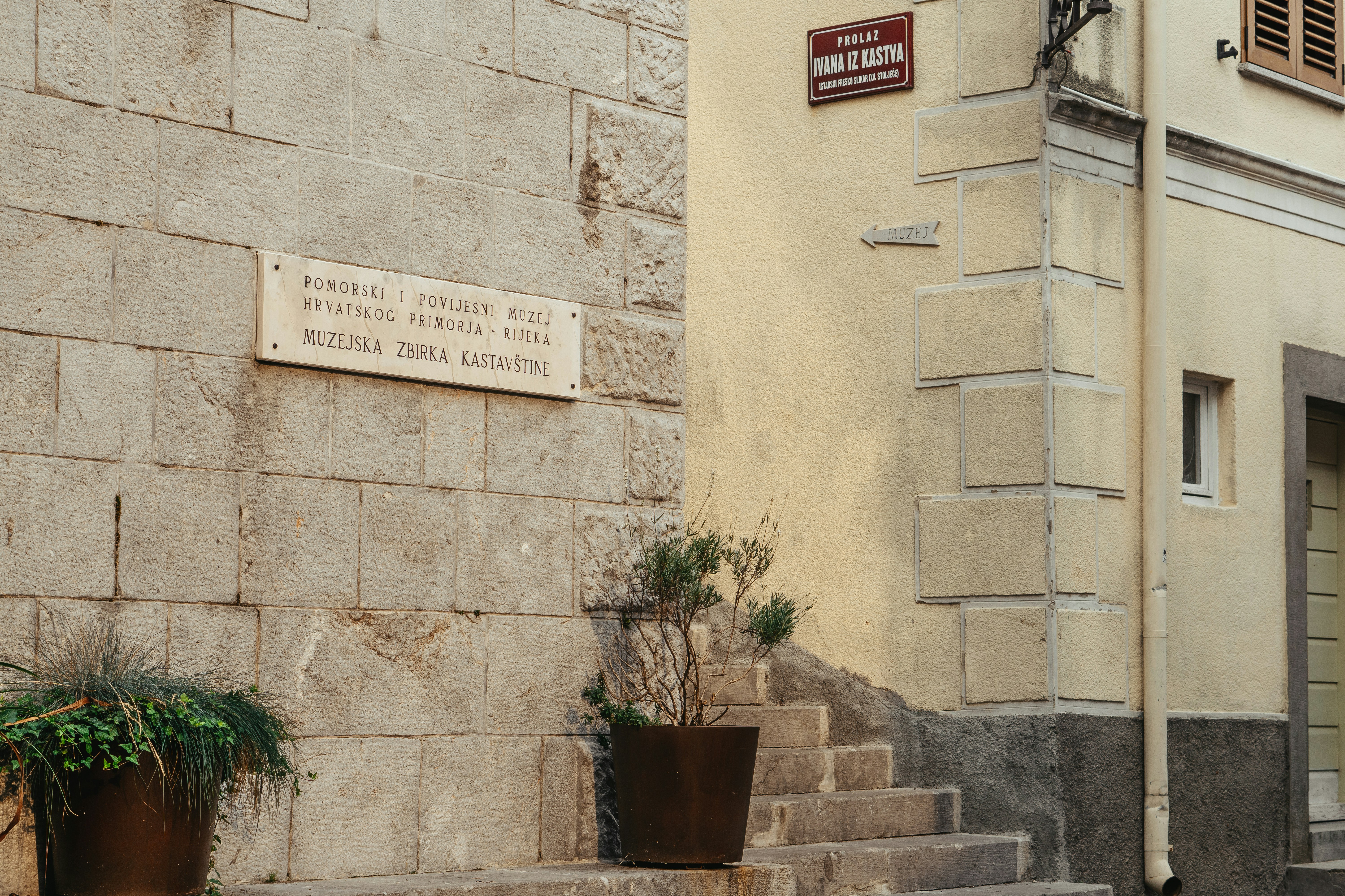 Photo by Kateryna Senkevych with Sony Alpha 6000