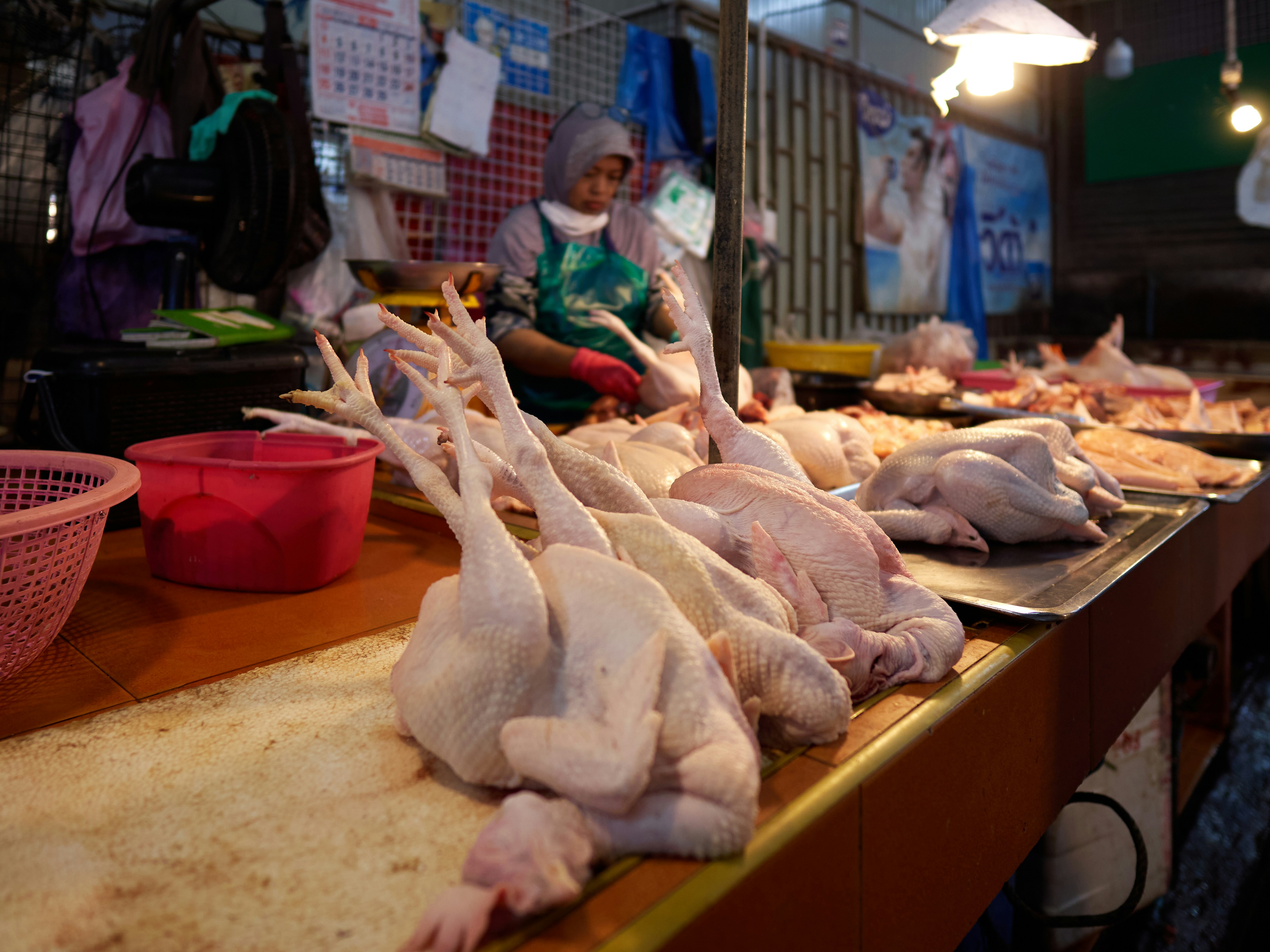 Poultry Parade Under Market Fluorescence