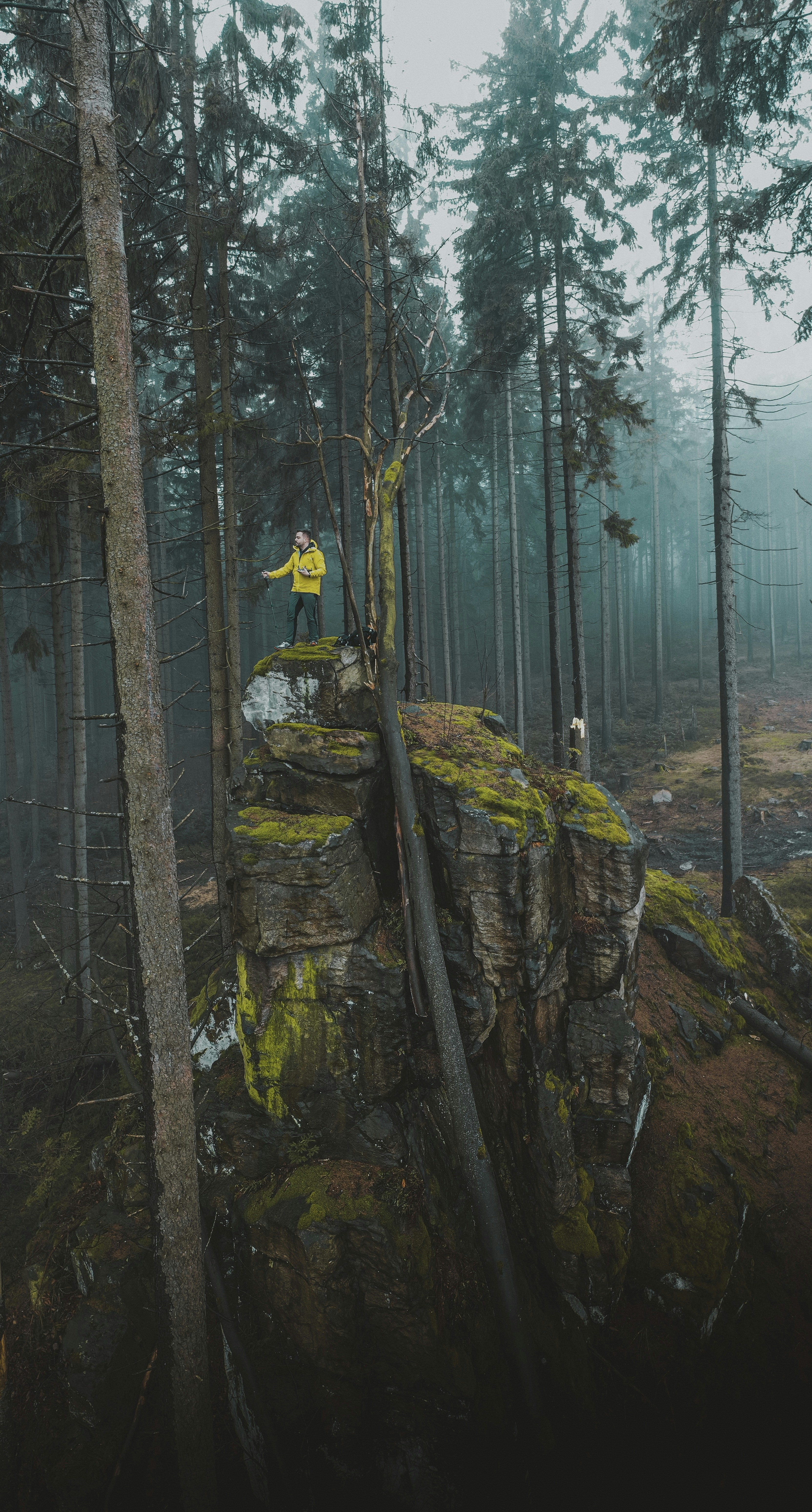 Amber Jacket on a Mossy Rock Pinnacle in a Veiled Pine Forest