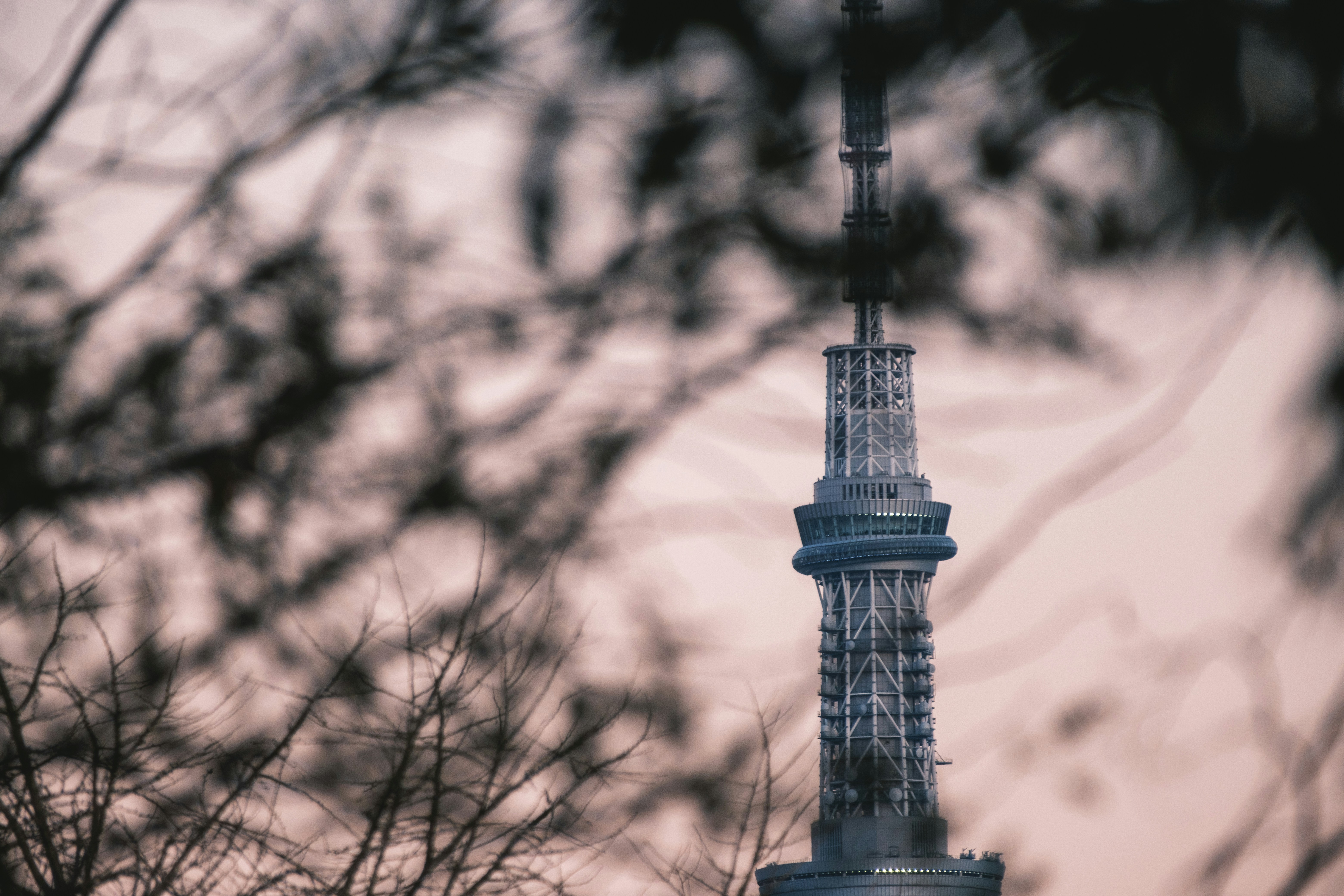 Silhouette of Innovation: Tokyo's Tower Amidst Nature