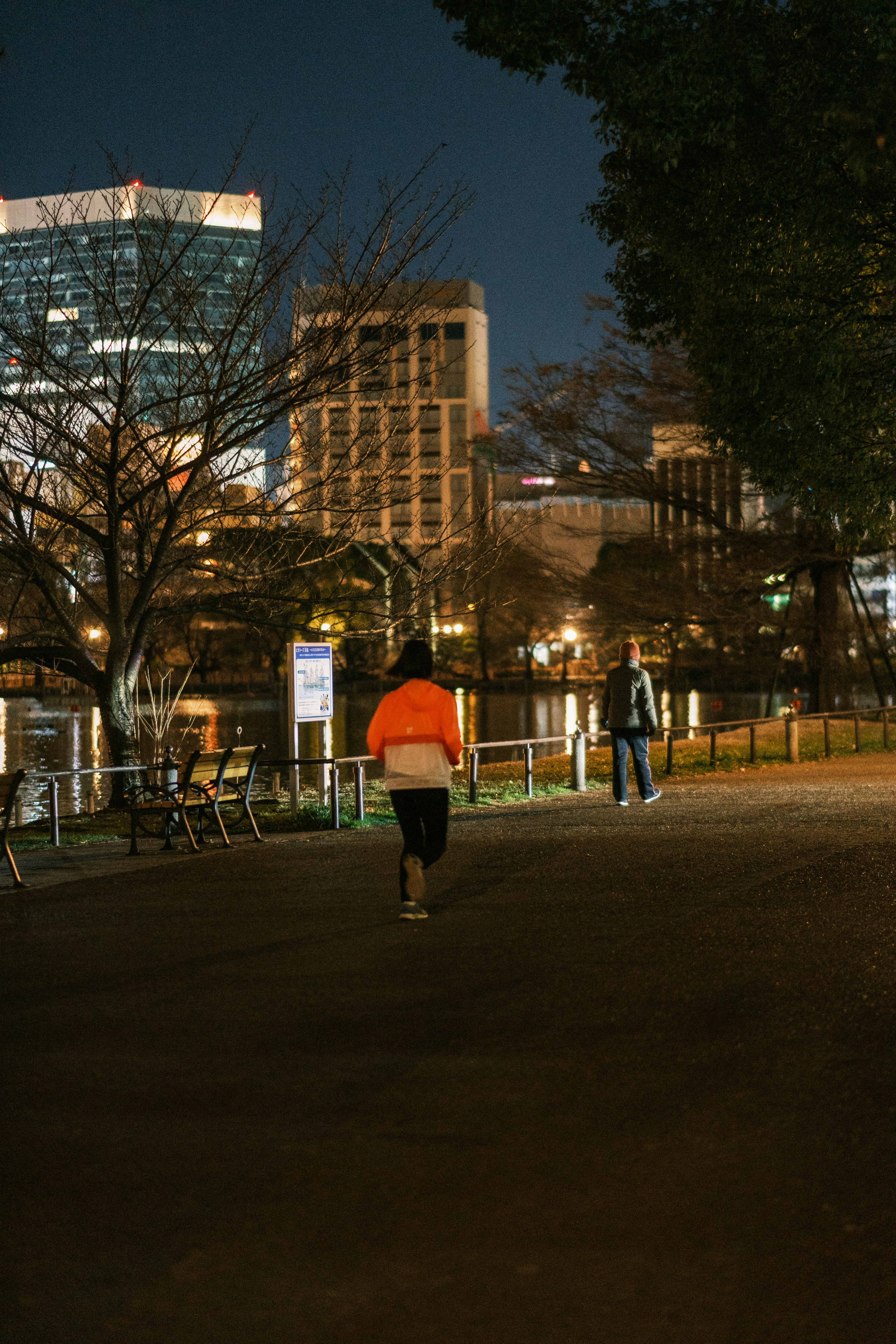 Urban Serenity: A Nighttime Jog Through the City