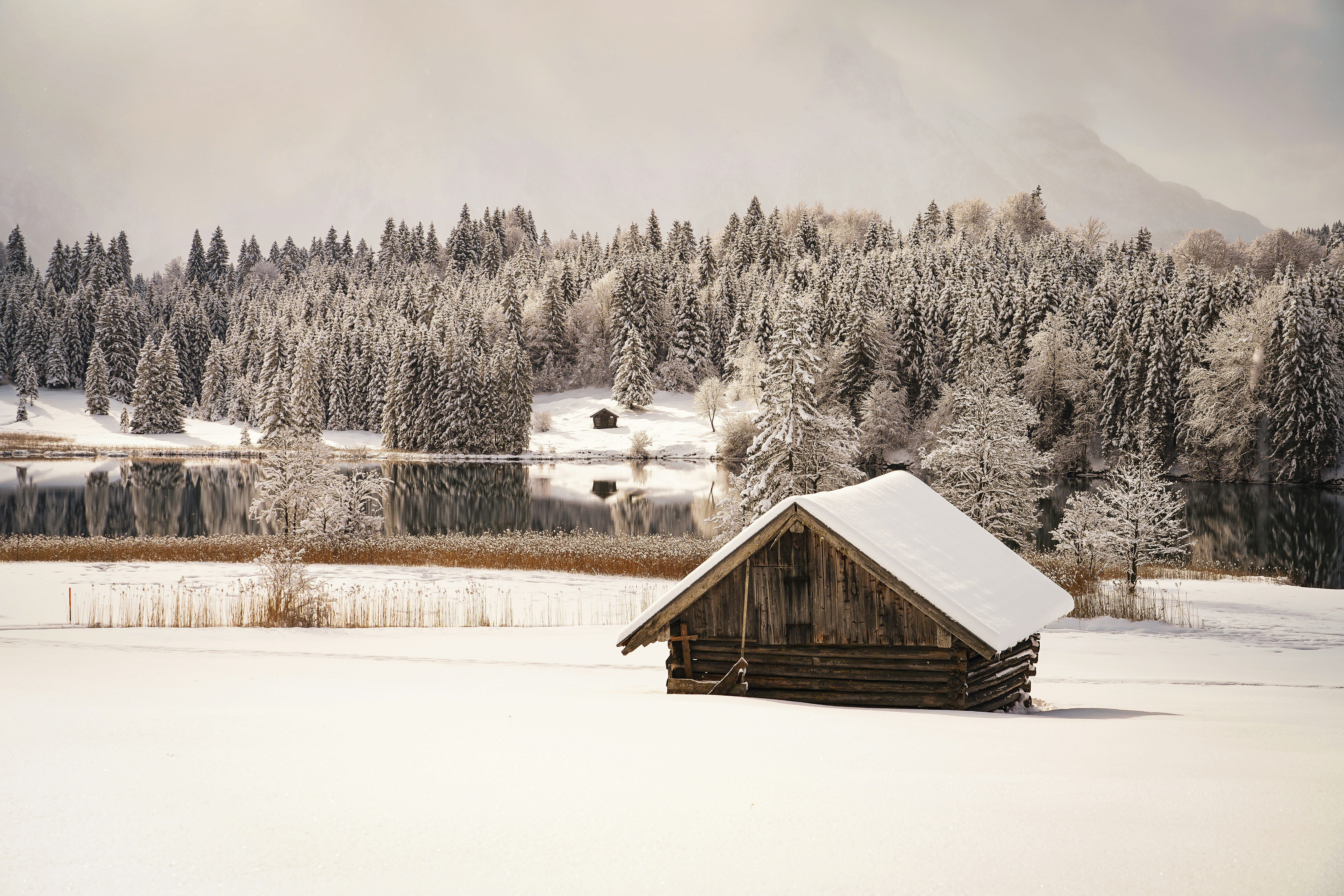 Una cabaña en medio de un campo nevado foto – Imagen de Kälte gratuita ...