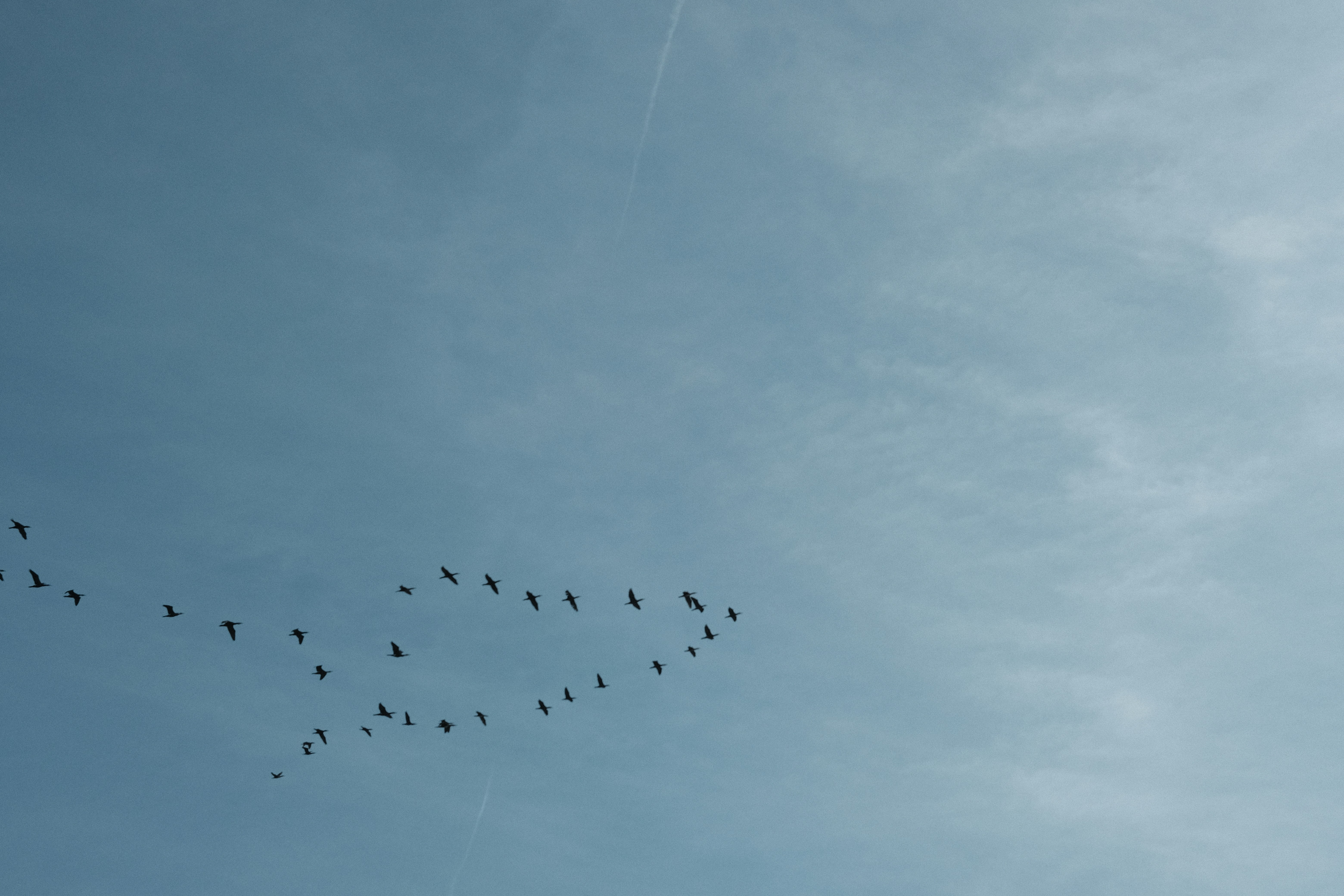 Photo by Kseniia Zapiatkina with Fujifilm X100V