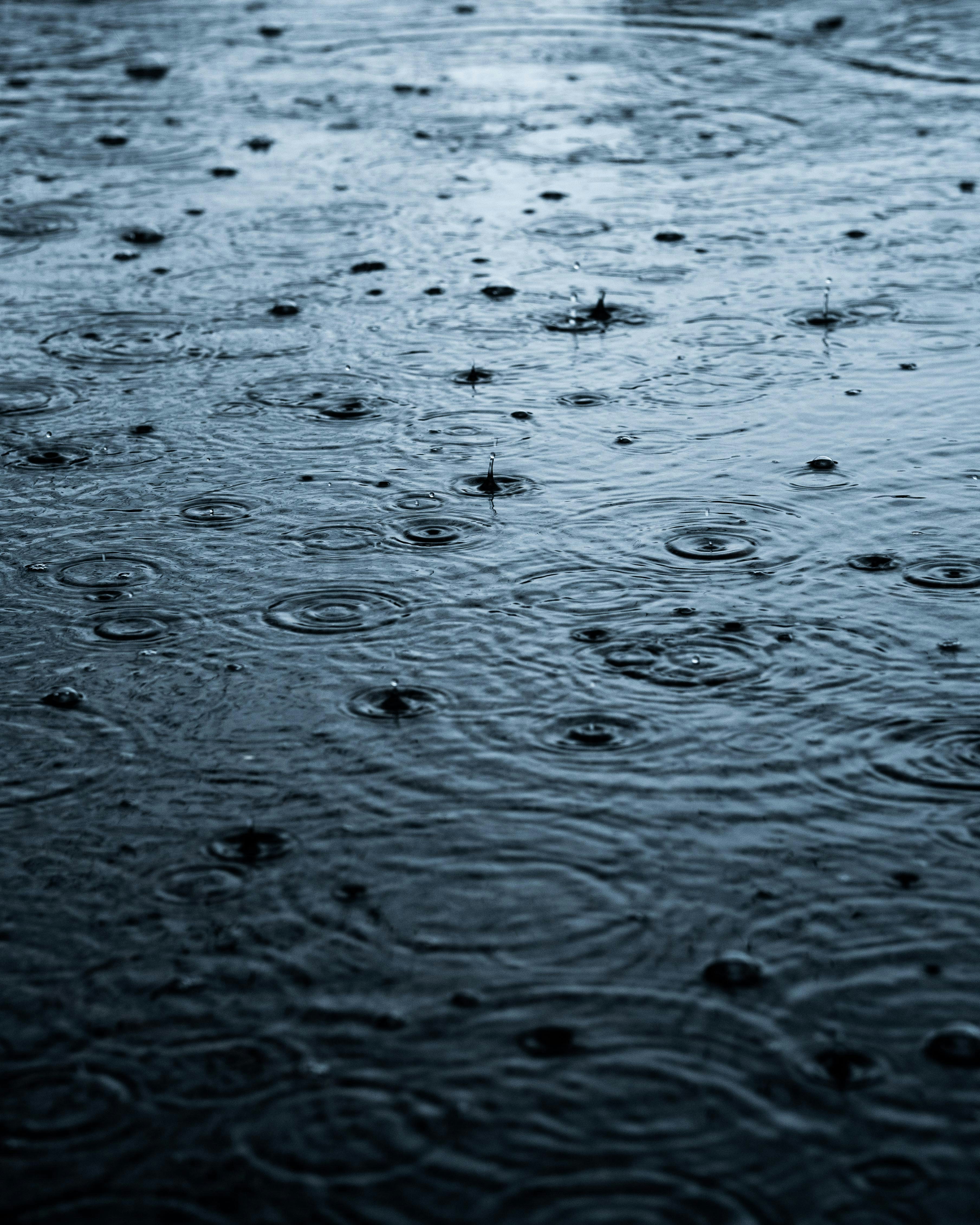 Rain drops are falling on a wet surface photo – Free Ripples Image on ...