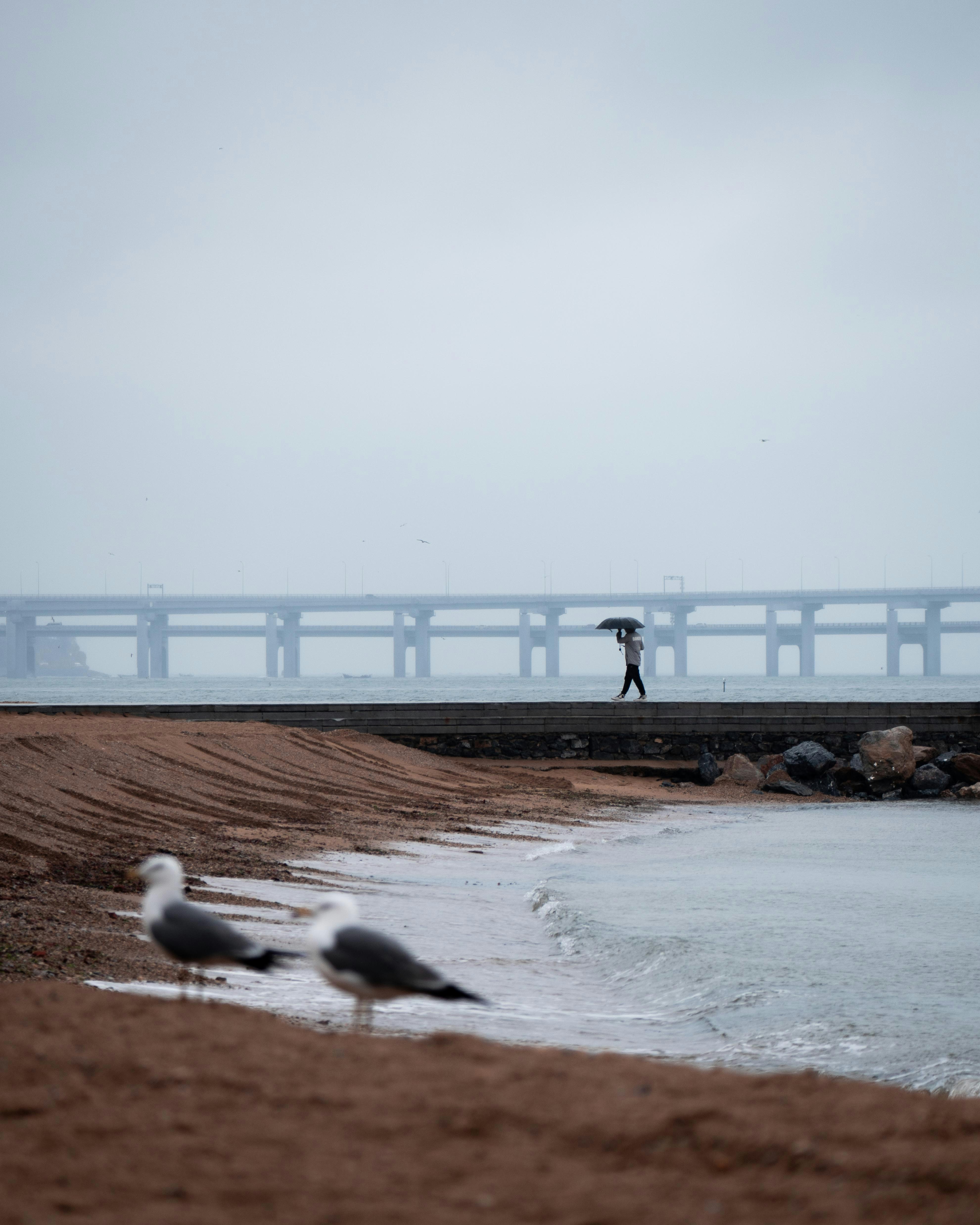 Mist-Threaded Pier: Umbrella-Walker in a Quiet Harbor