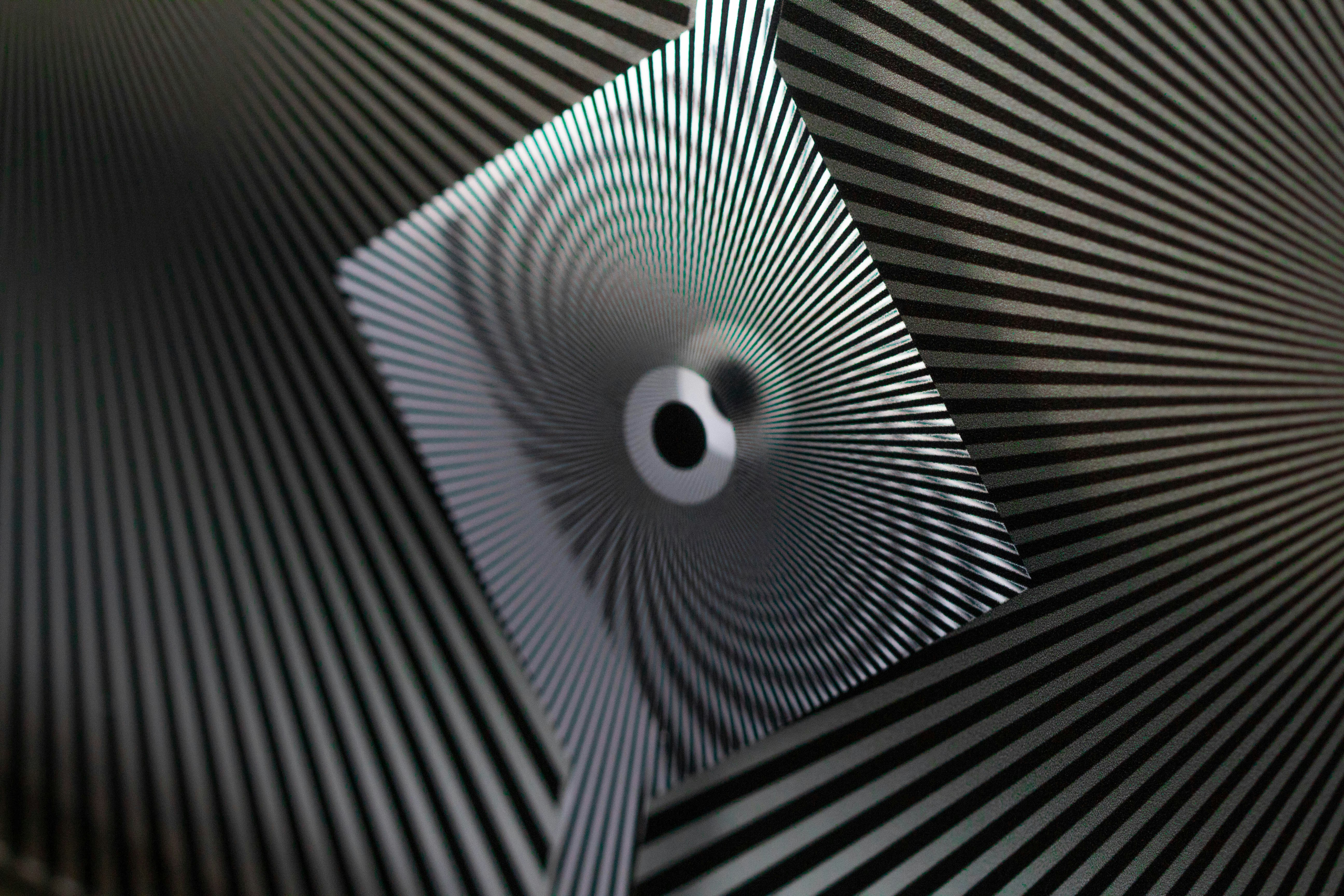 Photo by Alex Gallegos with Canon EOS 1300D