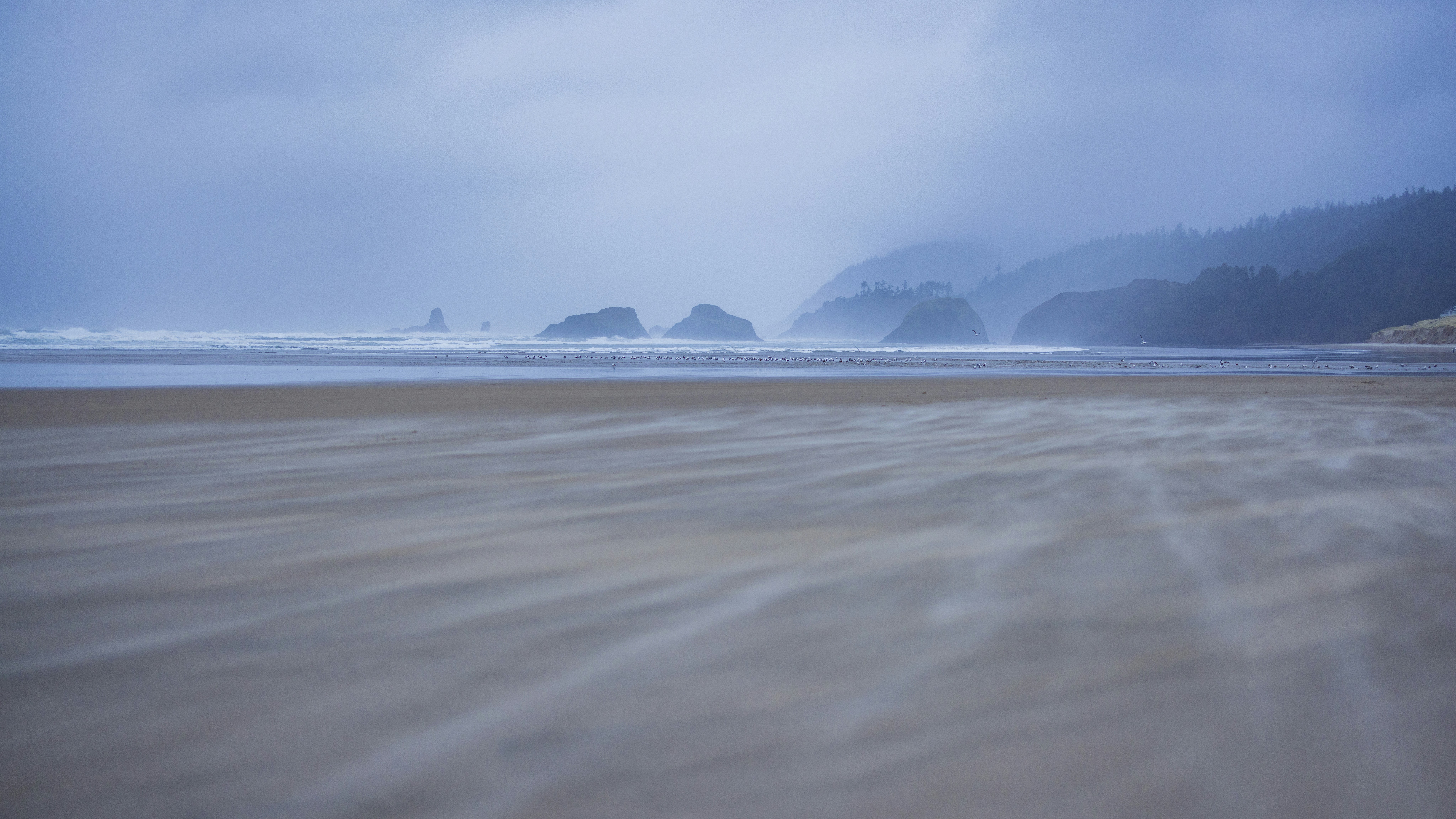 A sandy beach with waves coming in to shore photo – Free Beach Image on ...