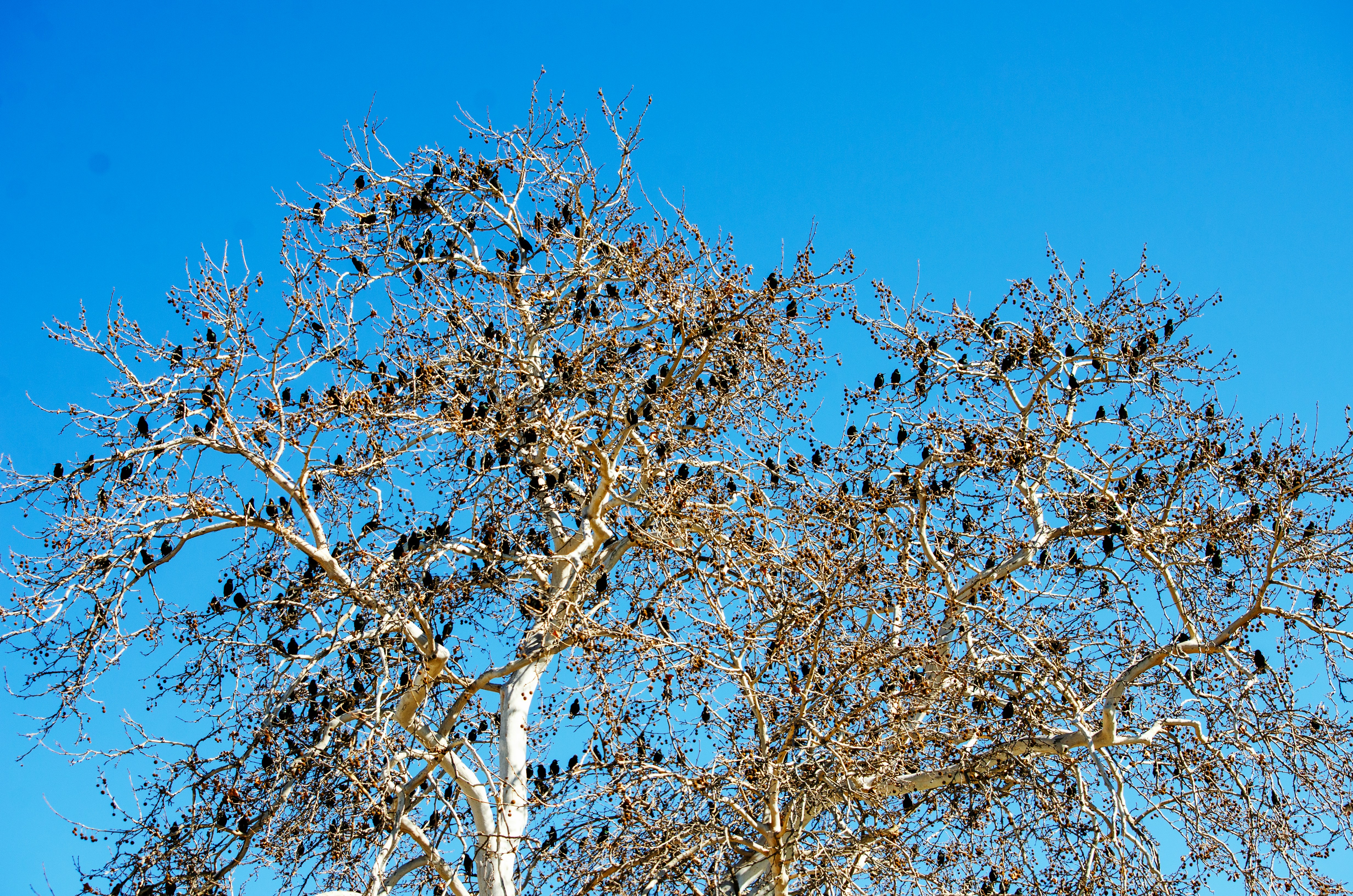 Christopher Riggs (@xopheriggs) | Communauté photos Unsplash