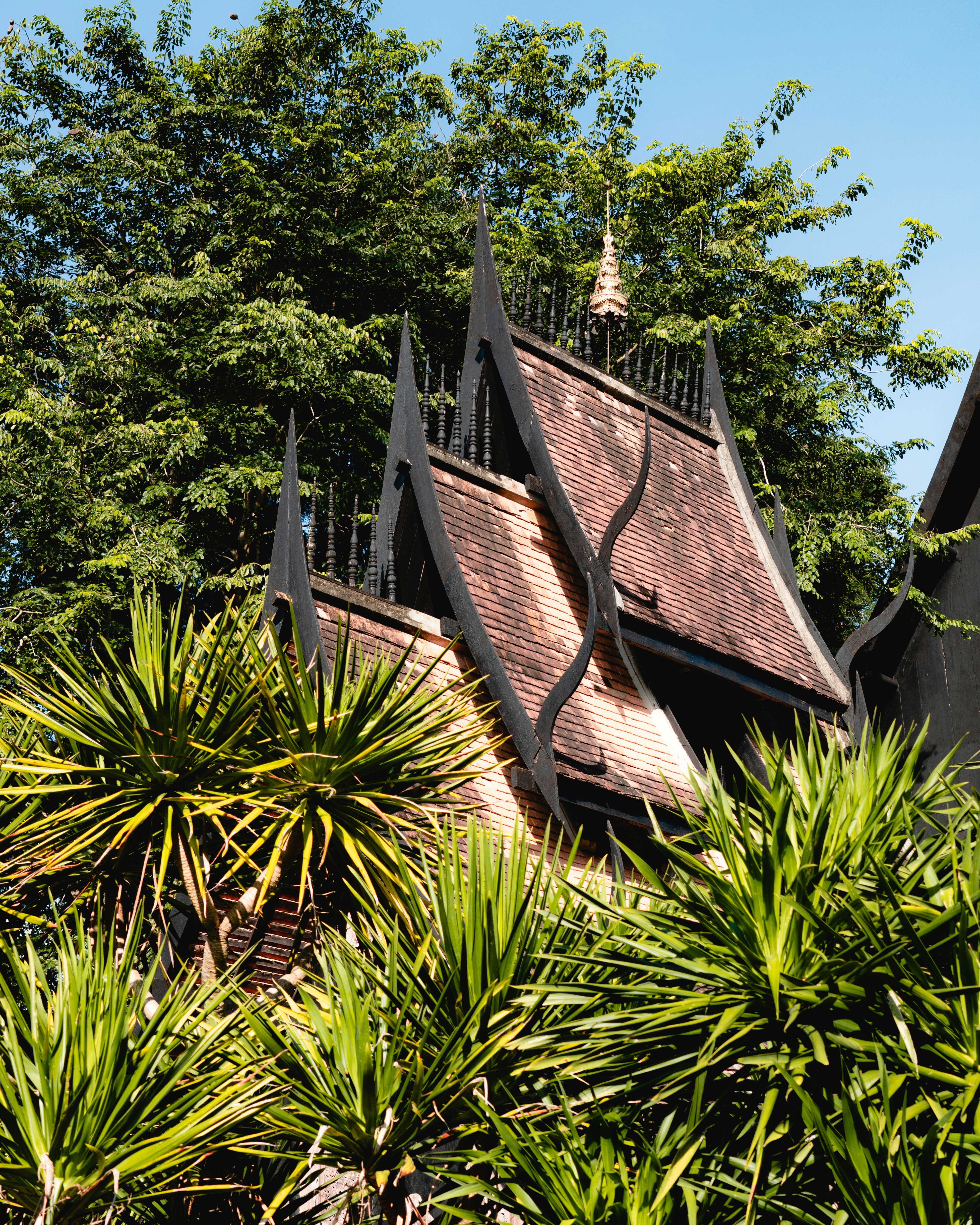 Traditional wooden gabled roof surrounded by vibrant tropical foliage under a clear blue sky.