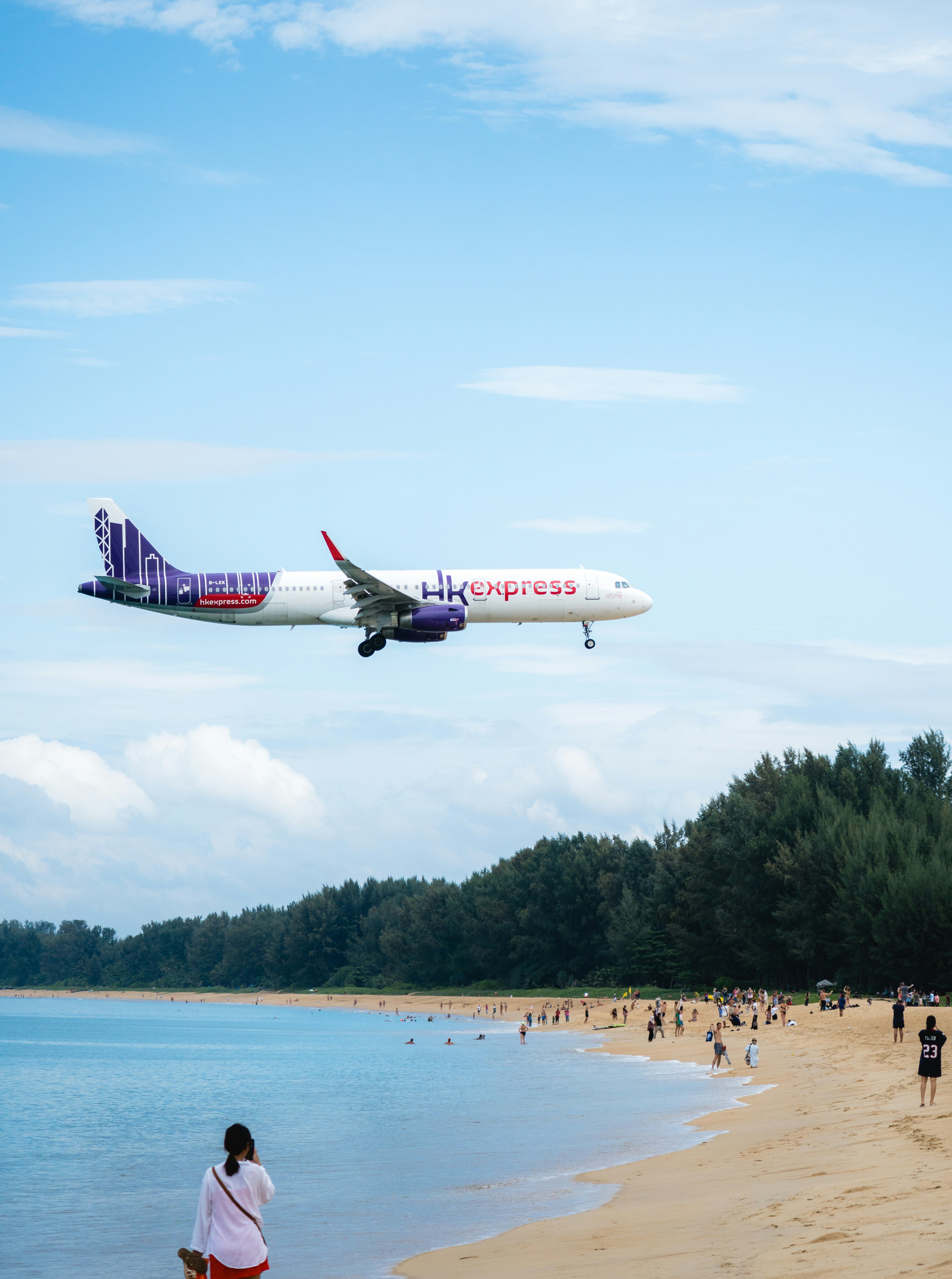 Horizon Skim: A Purple Express Jet Glides Over a Sunlit Beach