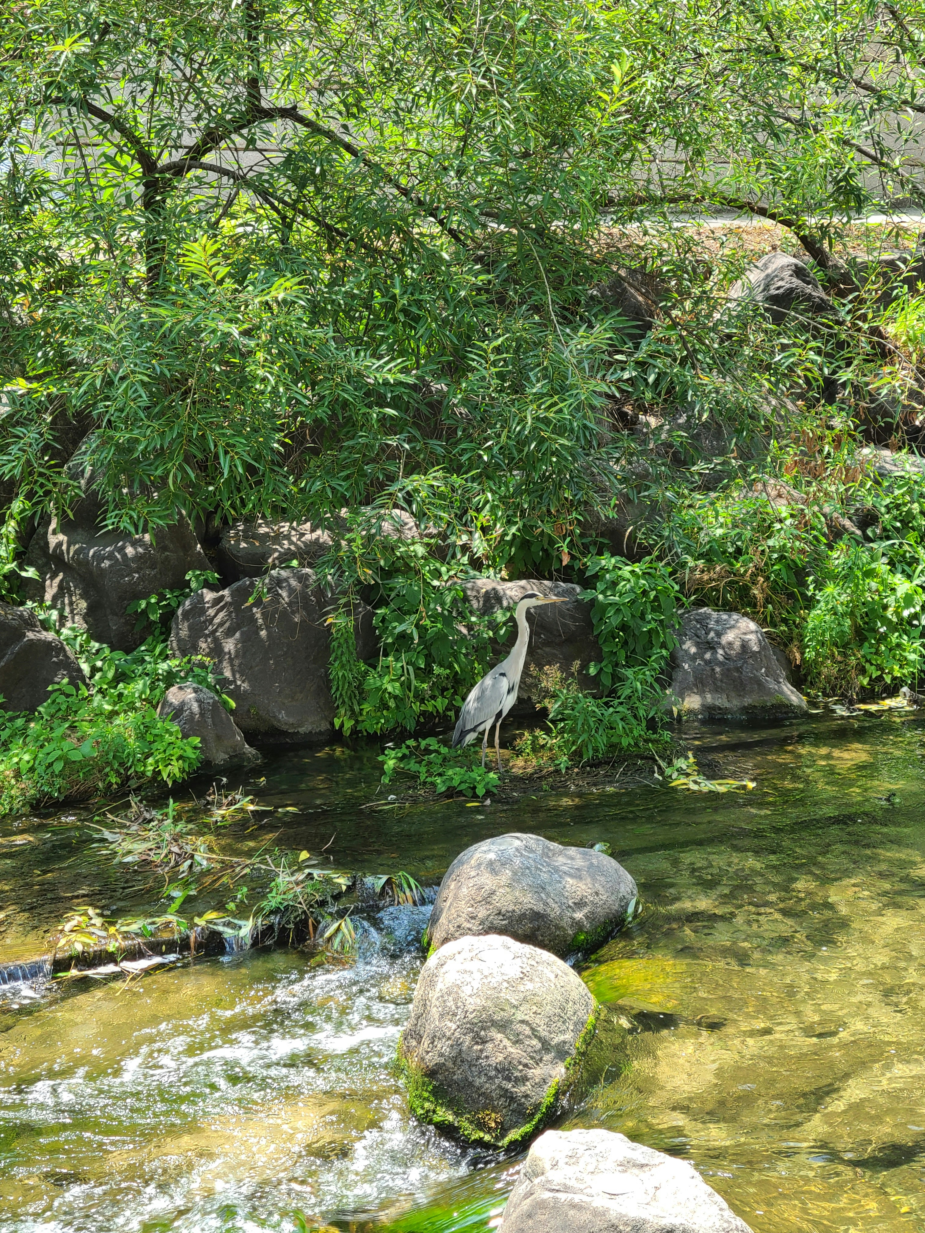 inho Jeong (@bookk22) | Unsplash Photo Community