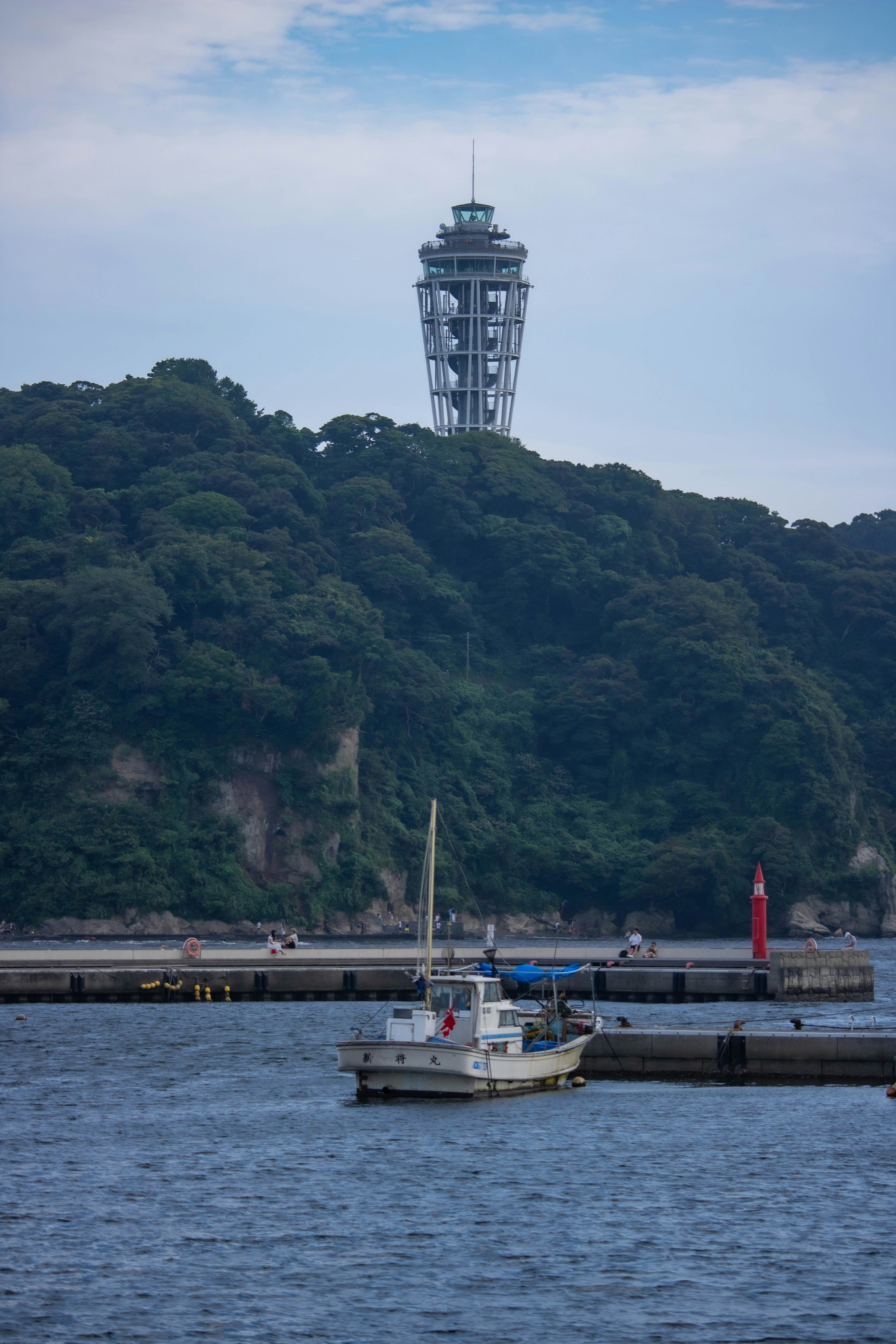 Summit Lookout Above the Harbor: A Steel Tower Crowned by Green Ridge
