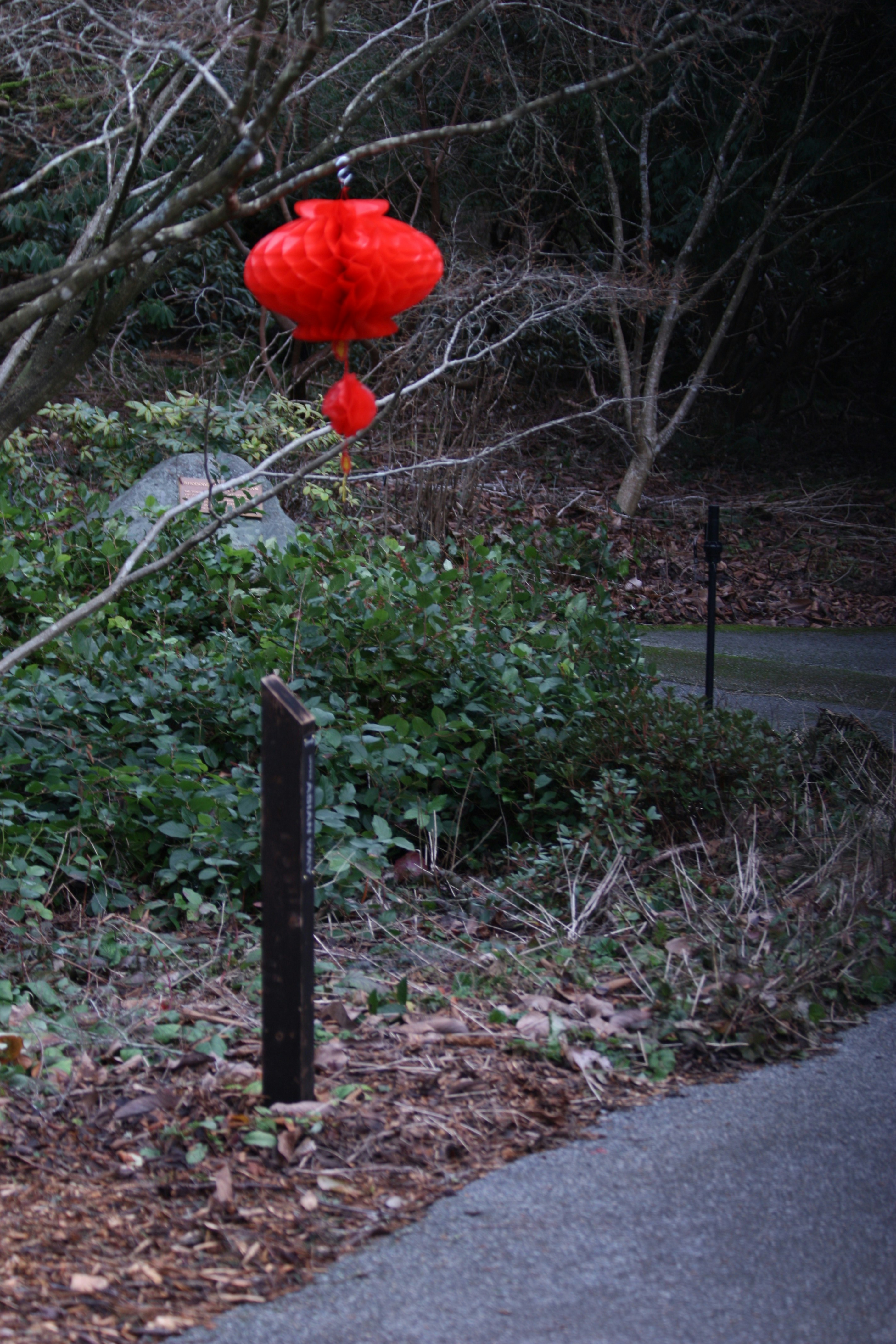 Red Lantern Draped Above a Quiet Garden Path